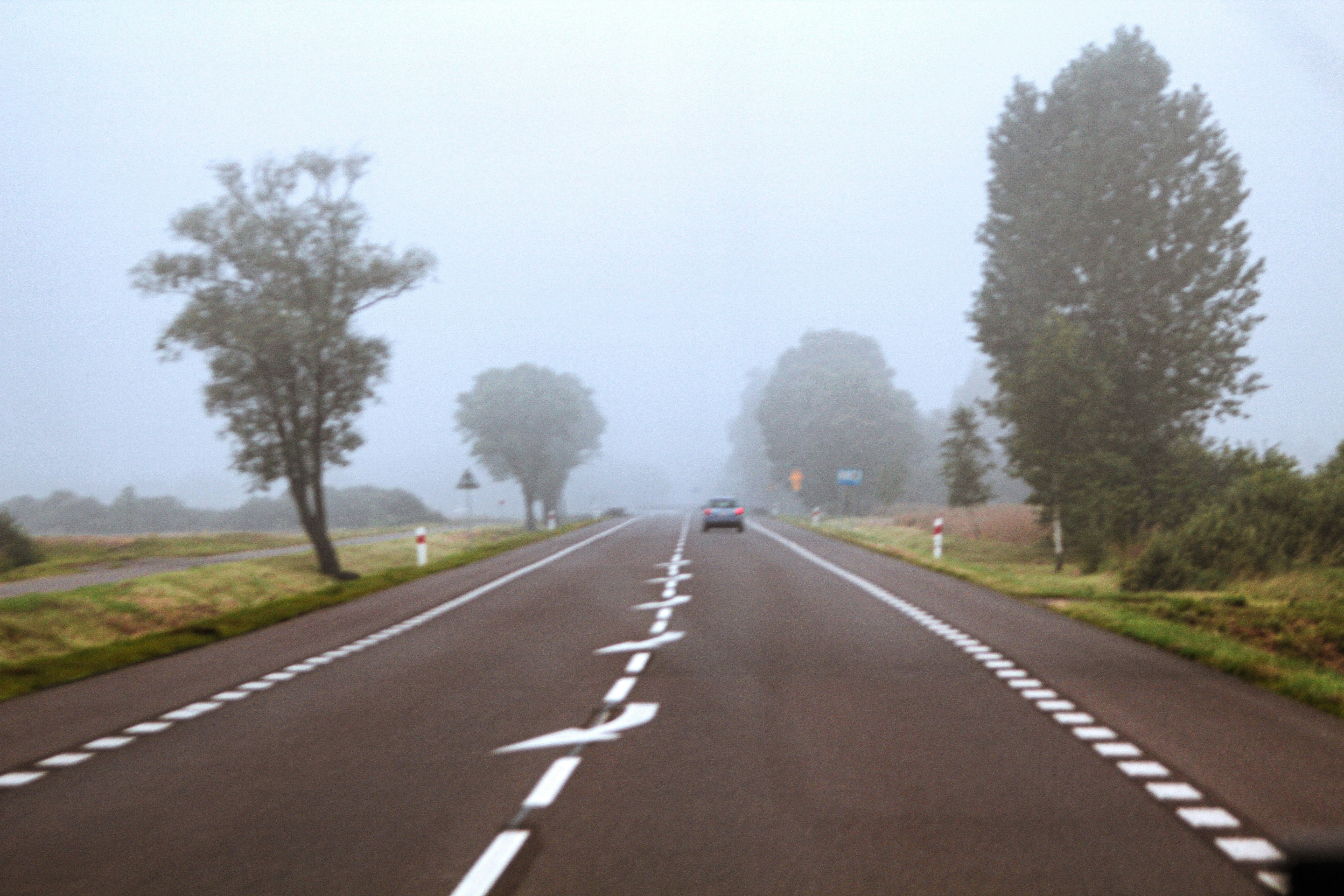Misty Highway: A Road That Vanishes into the Fog