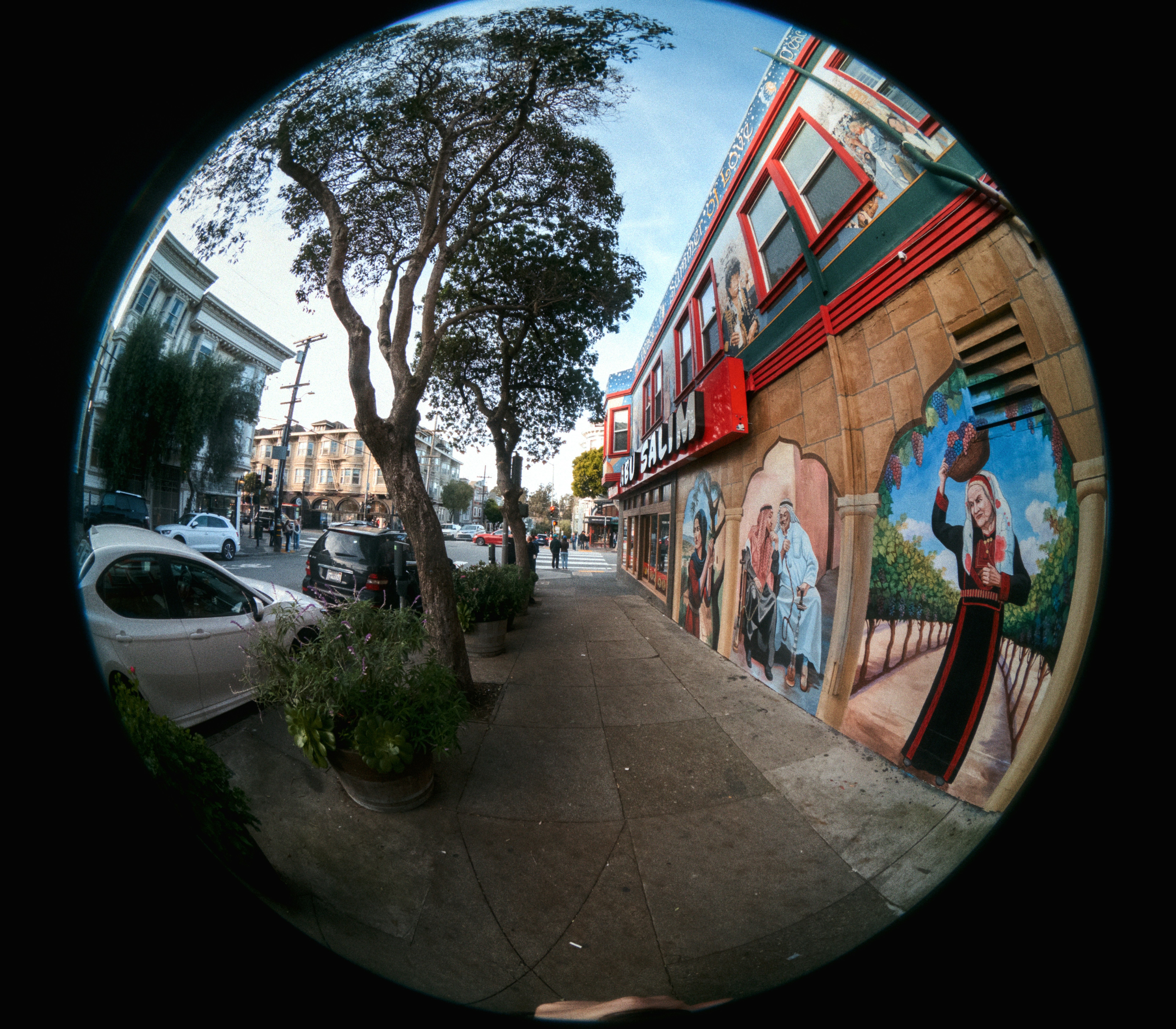 San Francisco Walk 003