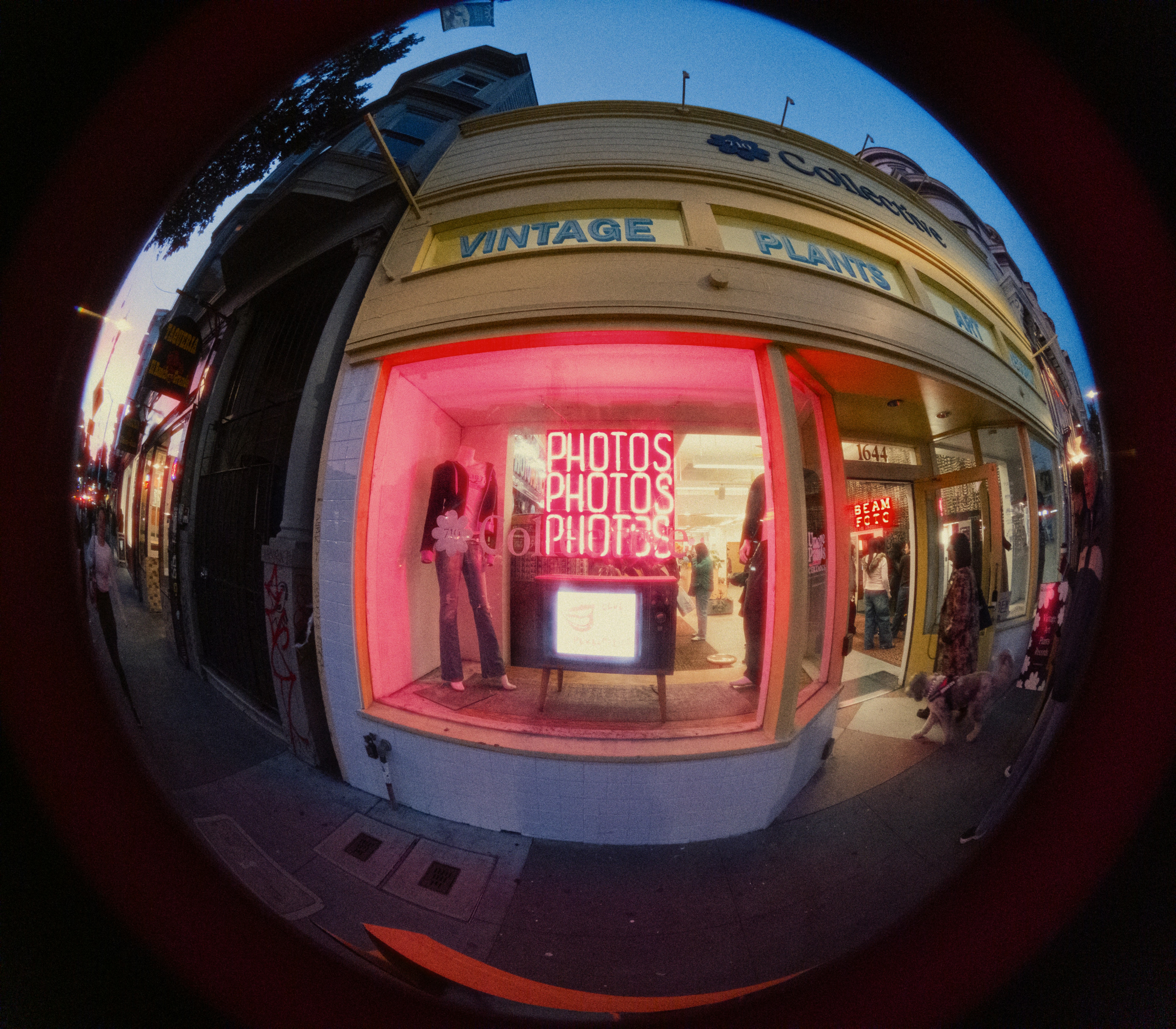 San Francisco Walk 005