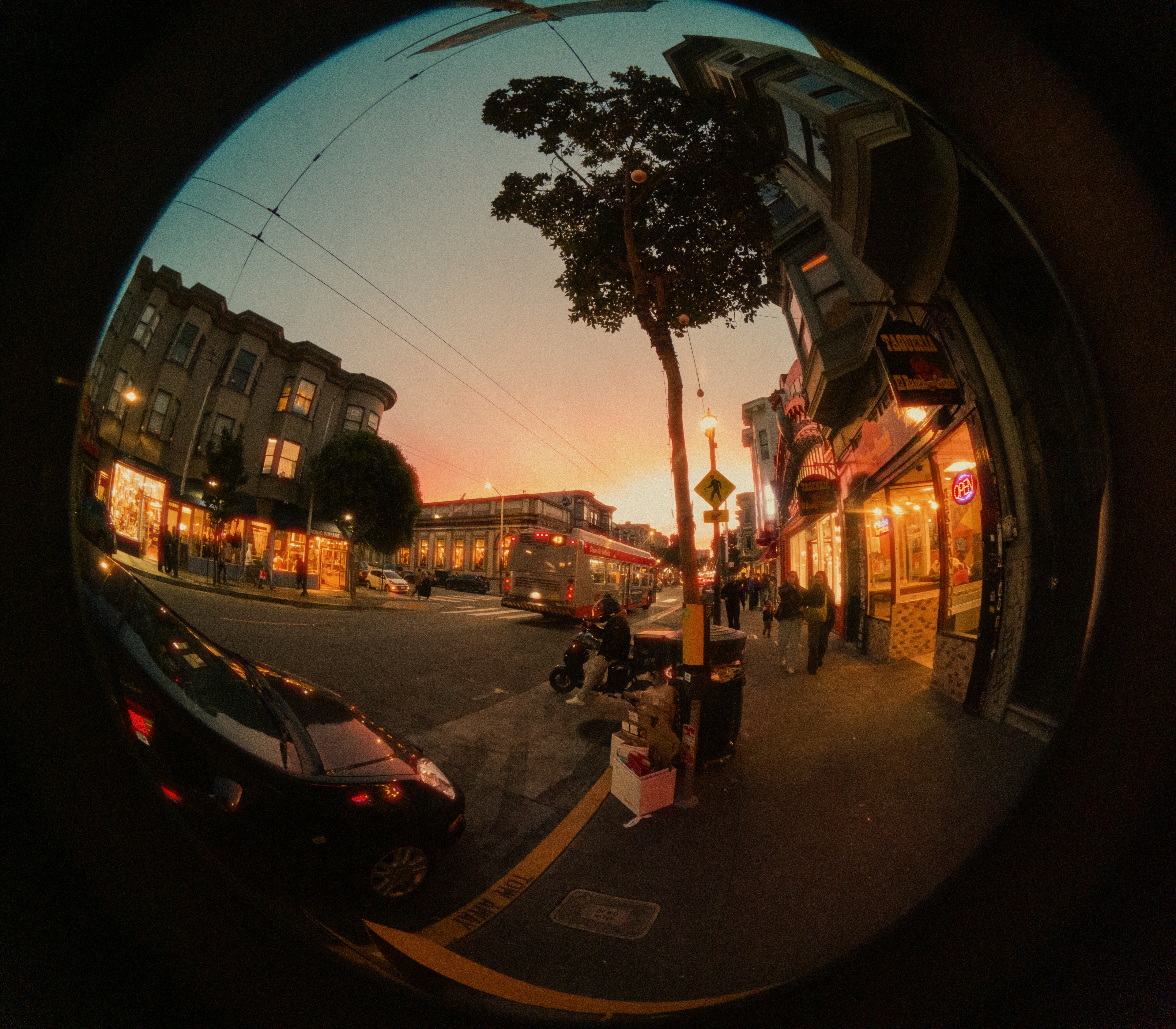 San Francisco Walk 006