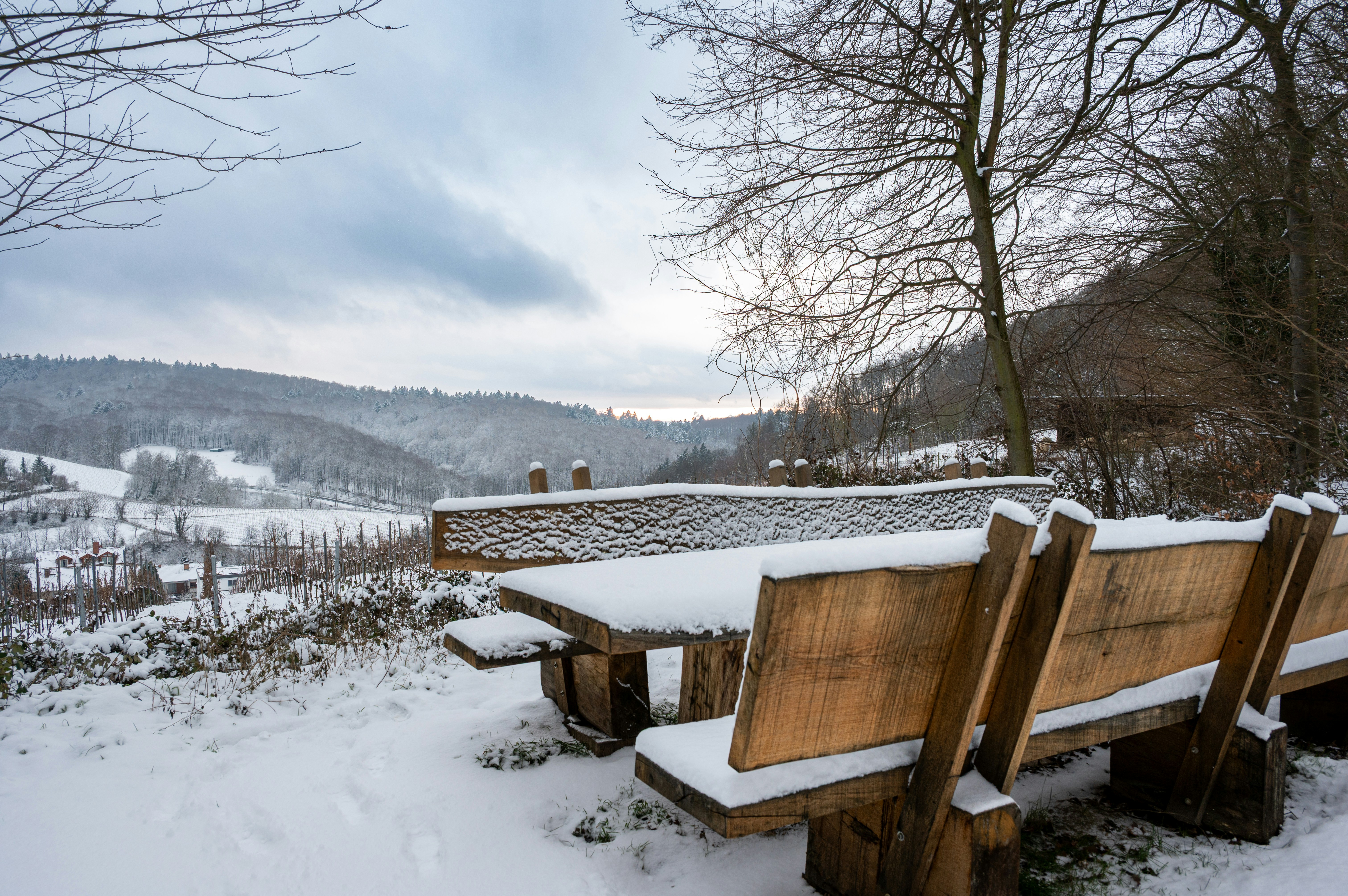 Snowbound Terrace: Benches Against a Winter Valley