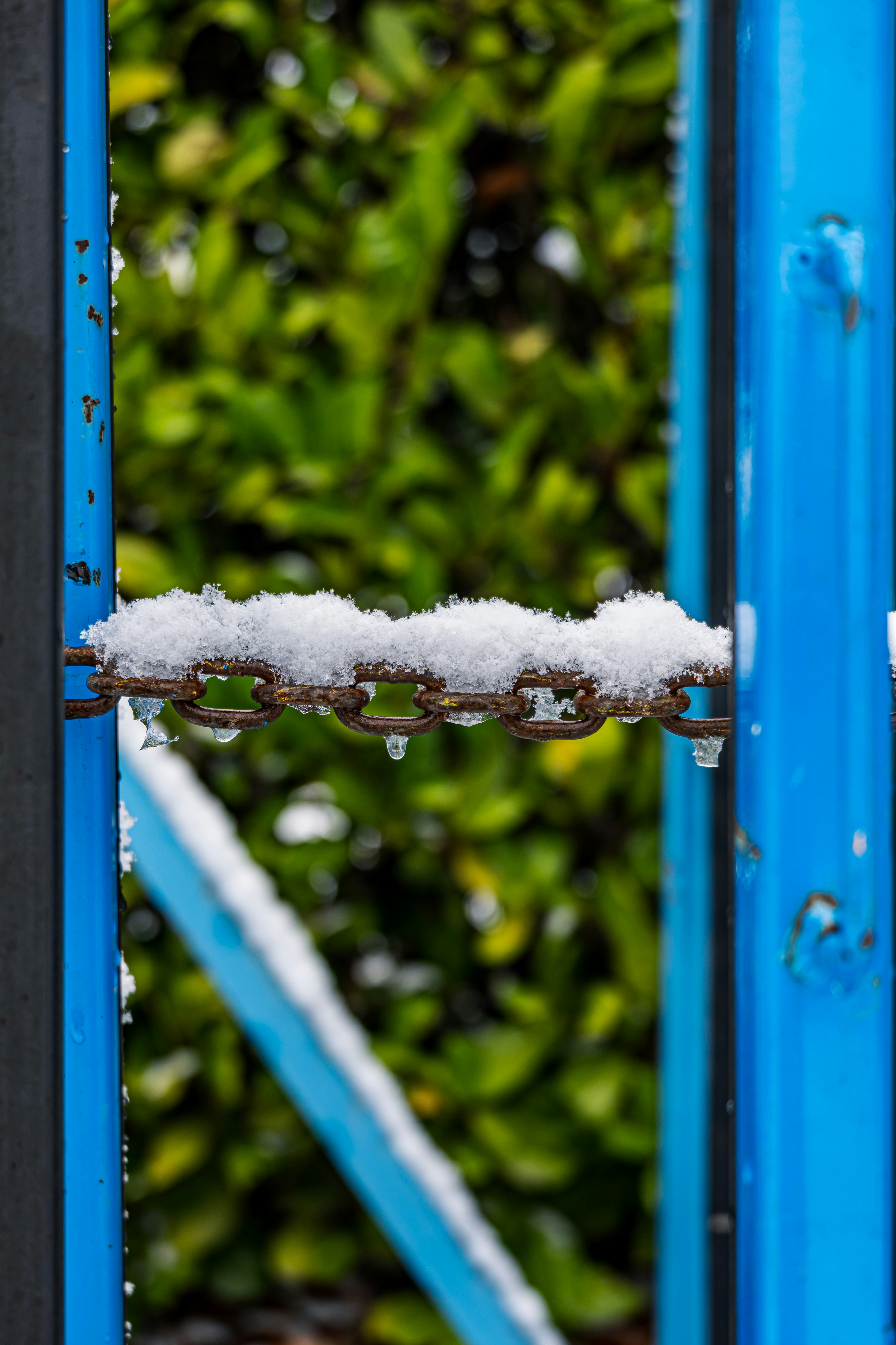 Snowbound Chain on a Bright Blue Frame