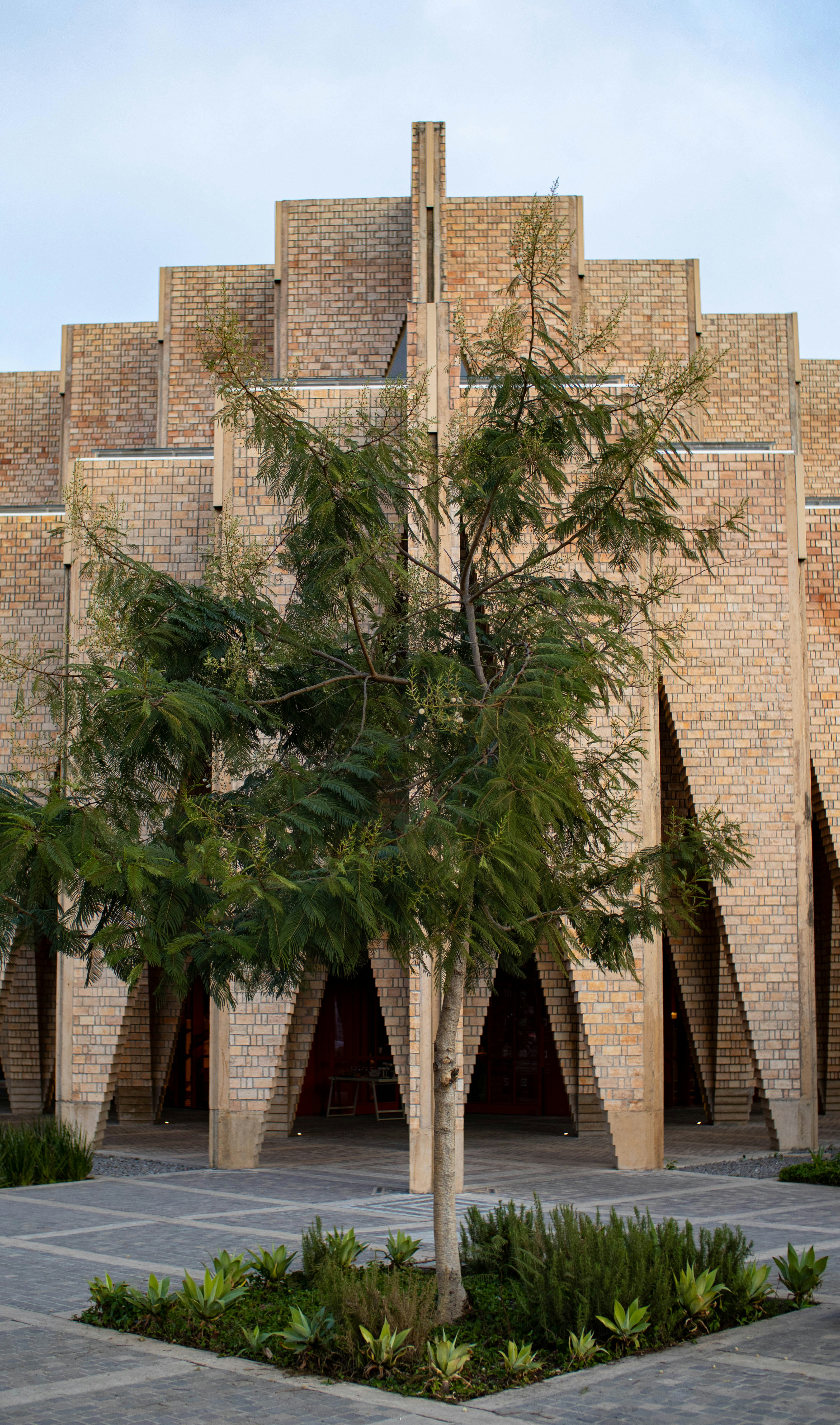 Brick Cathedral with a Donor Tree