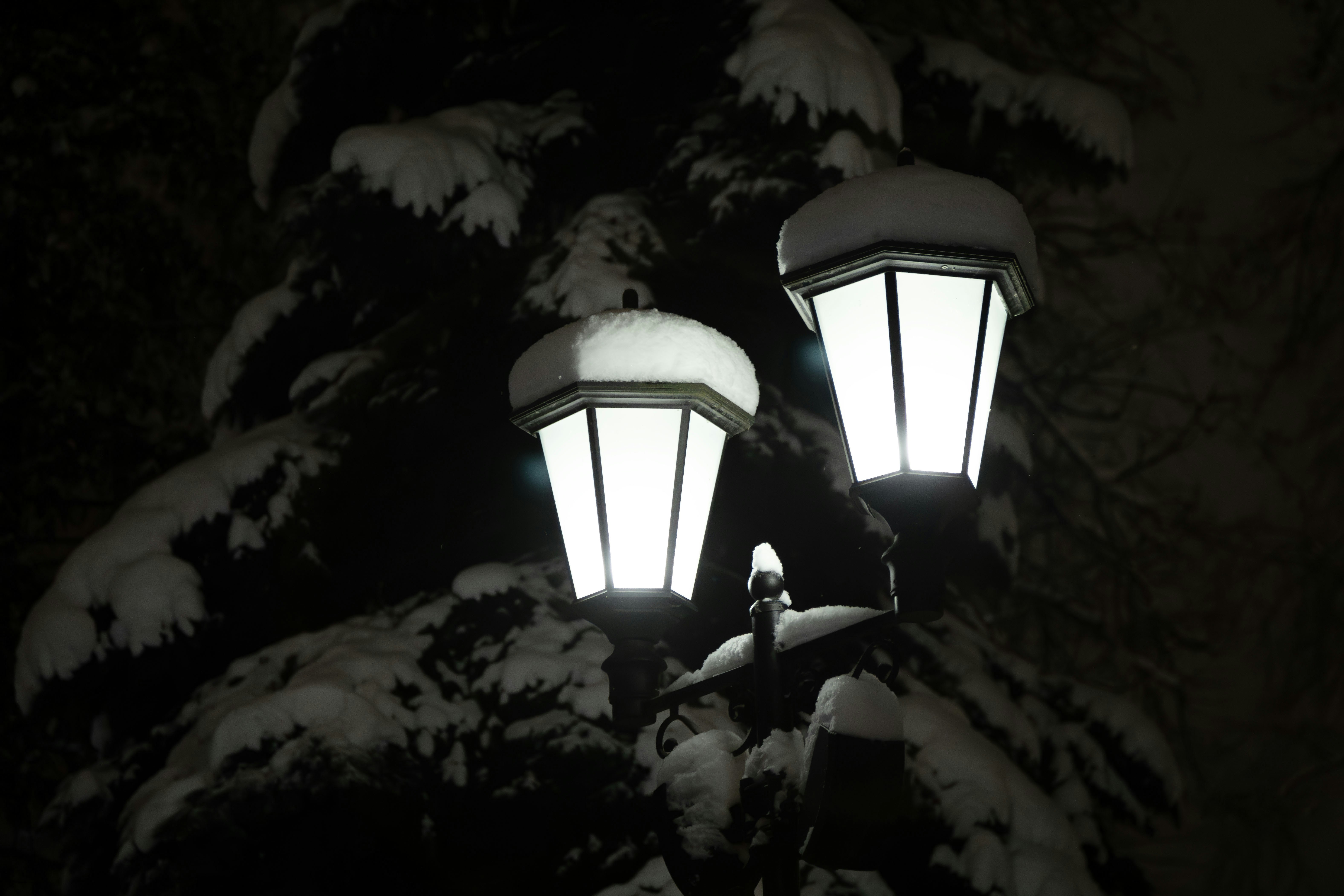 Snowlit Lantern Duo: A Quiet Night Under the Lampposts