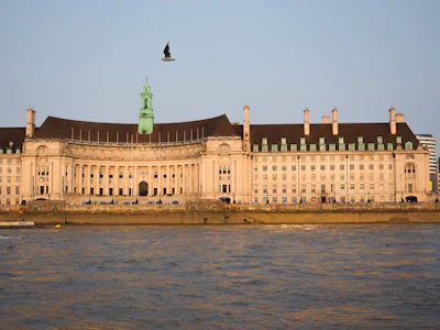 Harbor Facade under a Streak of Dusk with a Flying Gull