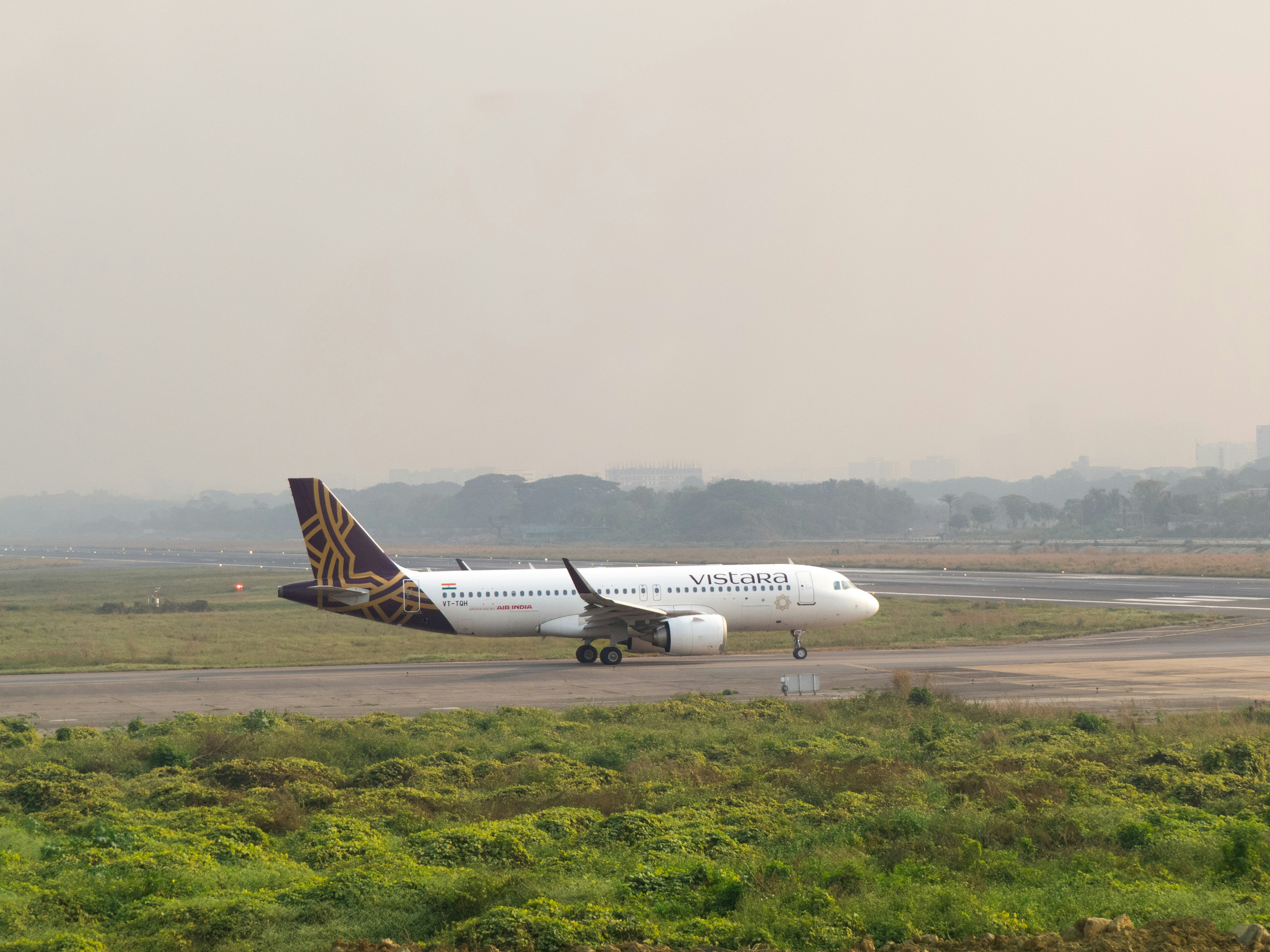 Glider of the Runway: A Vista Airline Stands Ready