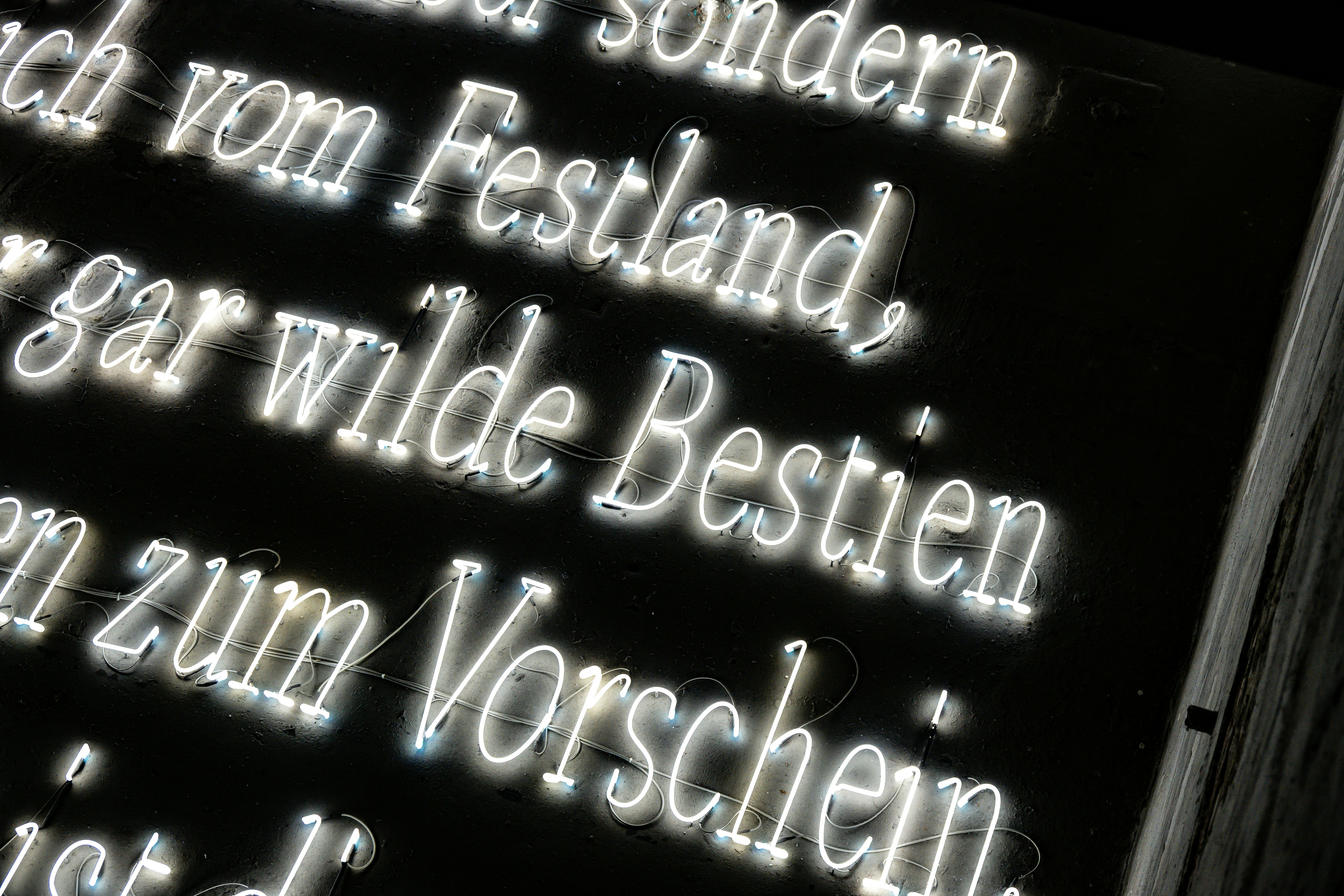 Neon Script in Motion: Illuminated German Text on a Dark Facade