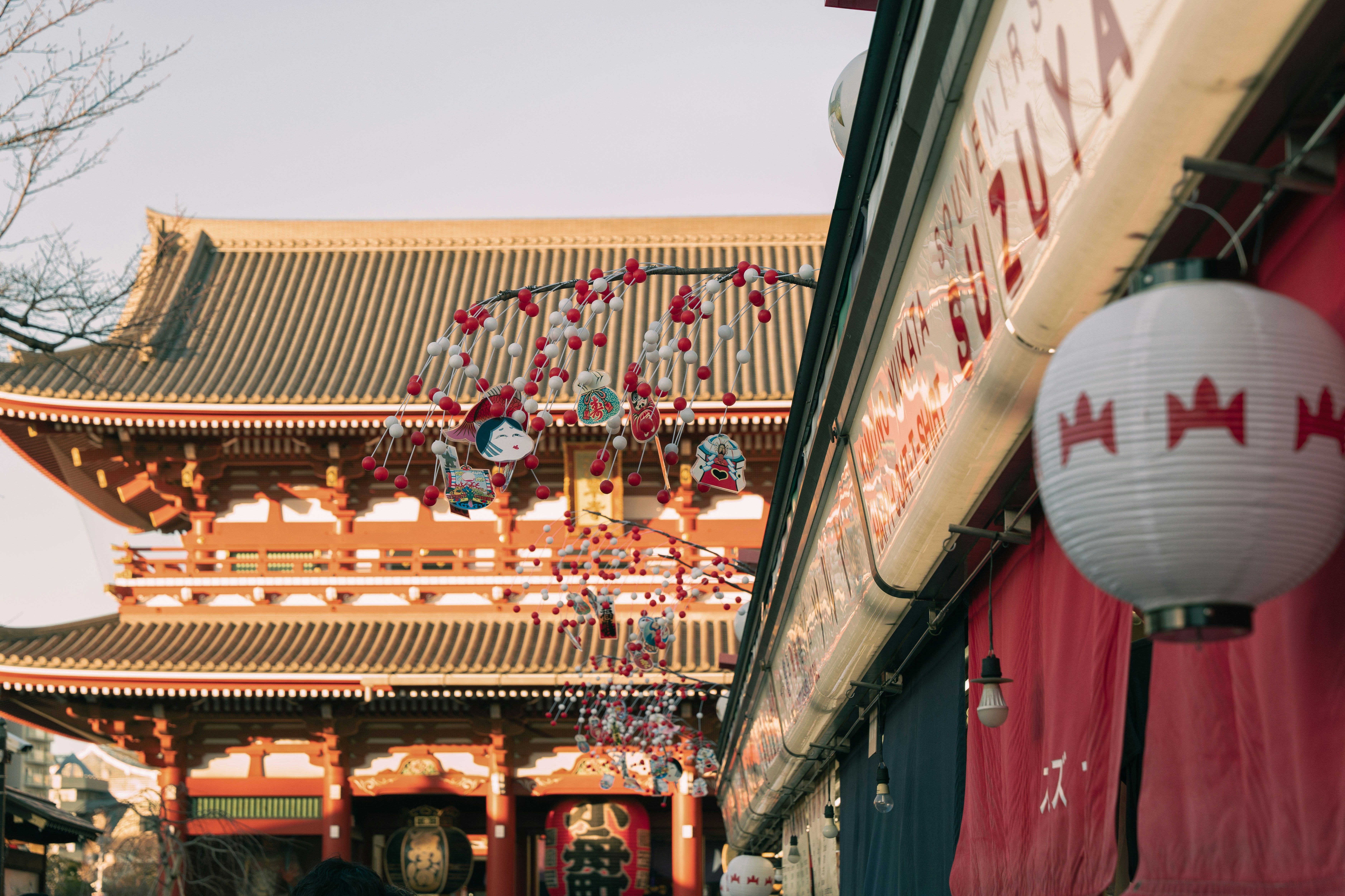 Sample photo from Sony Alpha 7C II