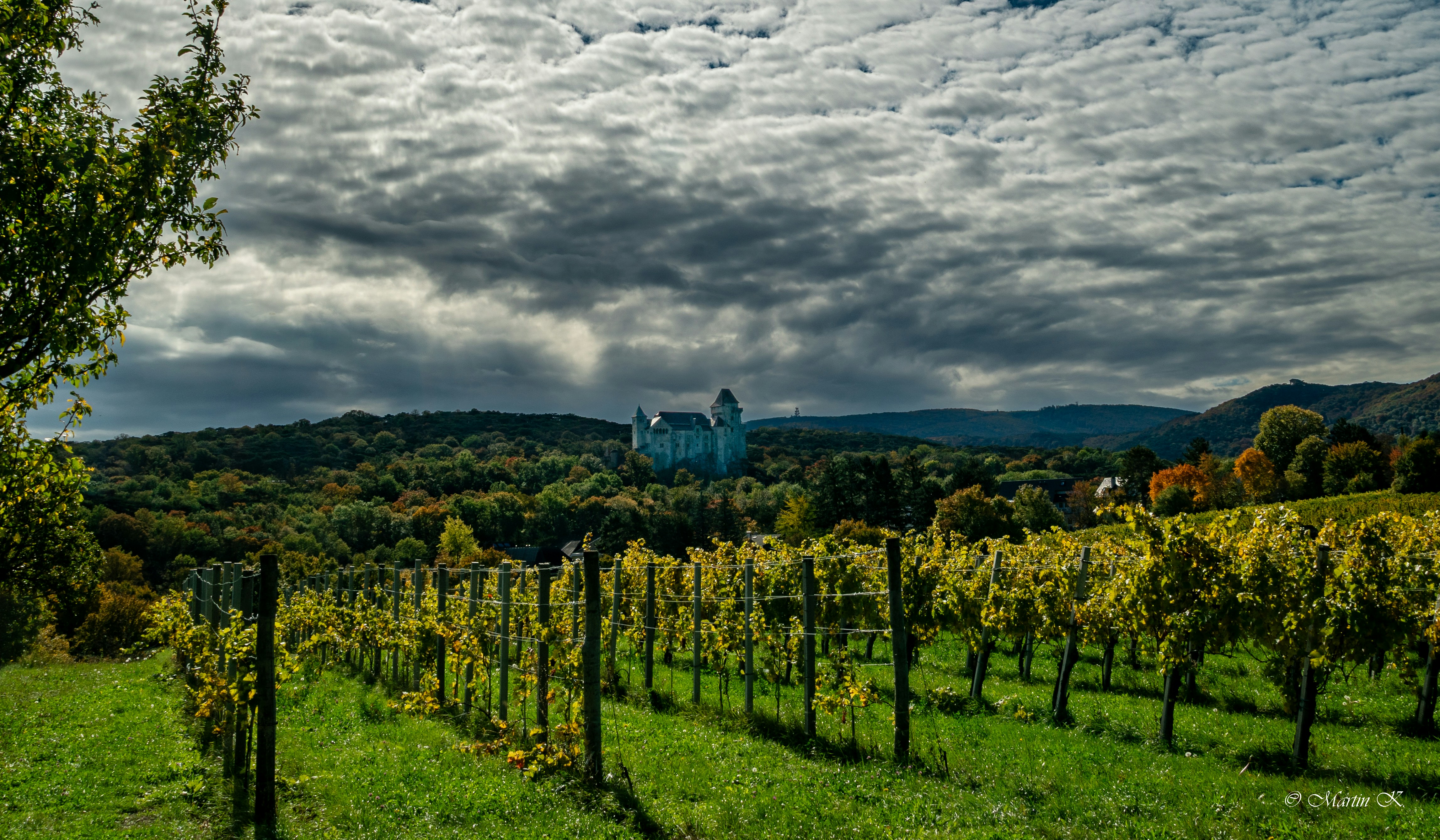 Vineyard Road to the Hidden Castle