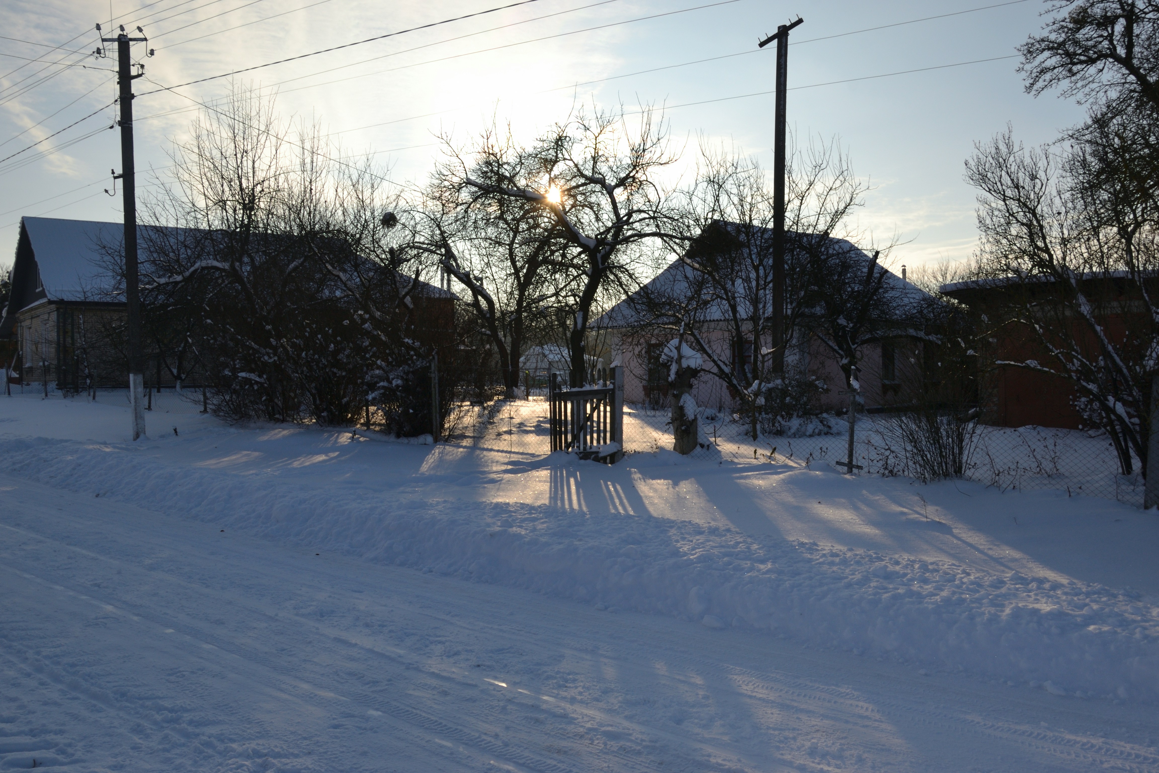 Winter Gateways: A Quiet Snow-Covered Yard at Dusk