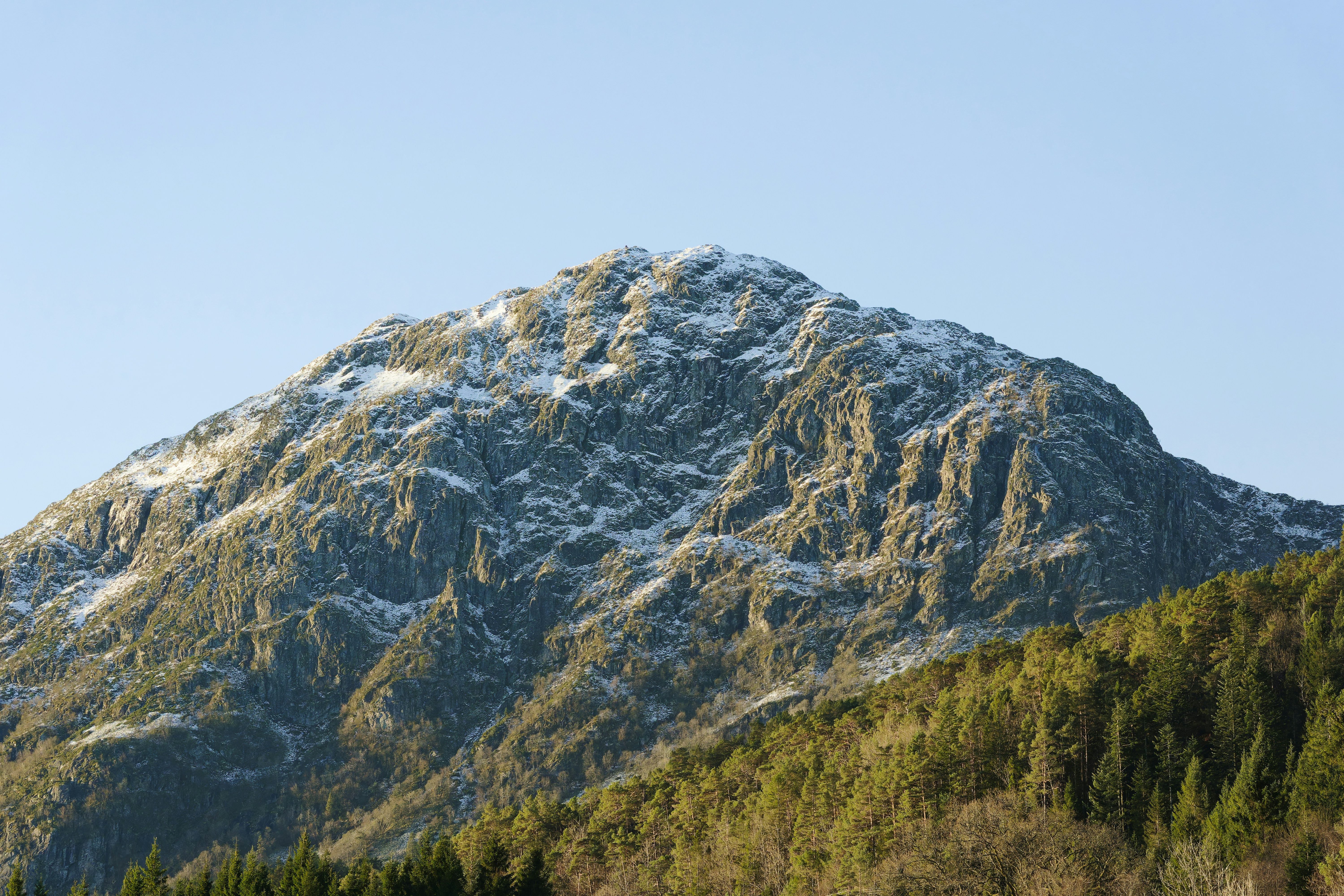Snow-kissed Peak Rising Above Conifer Footfall