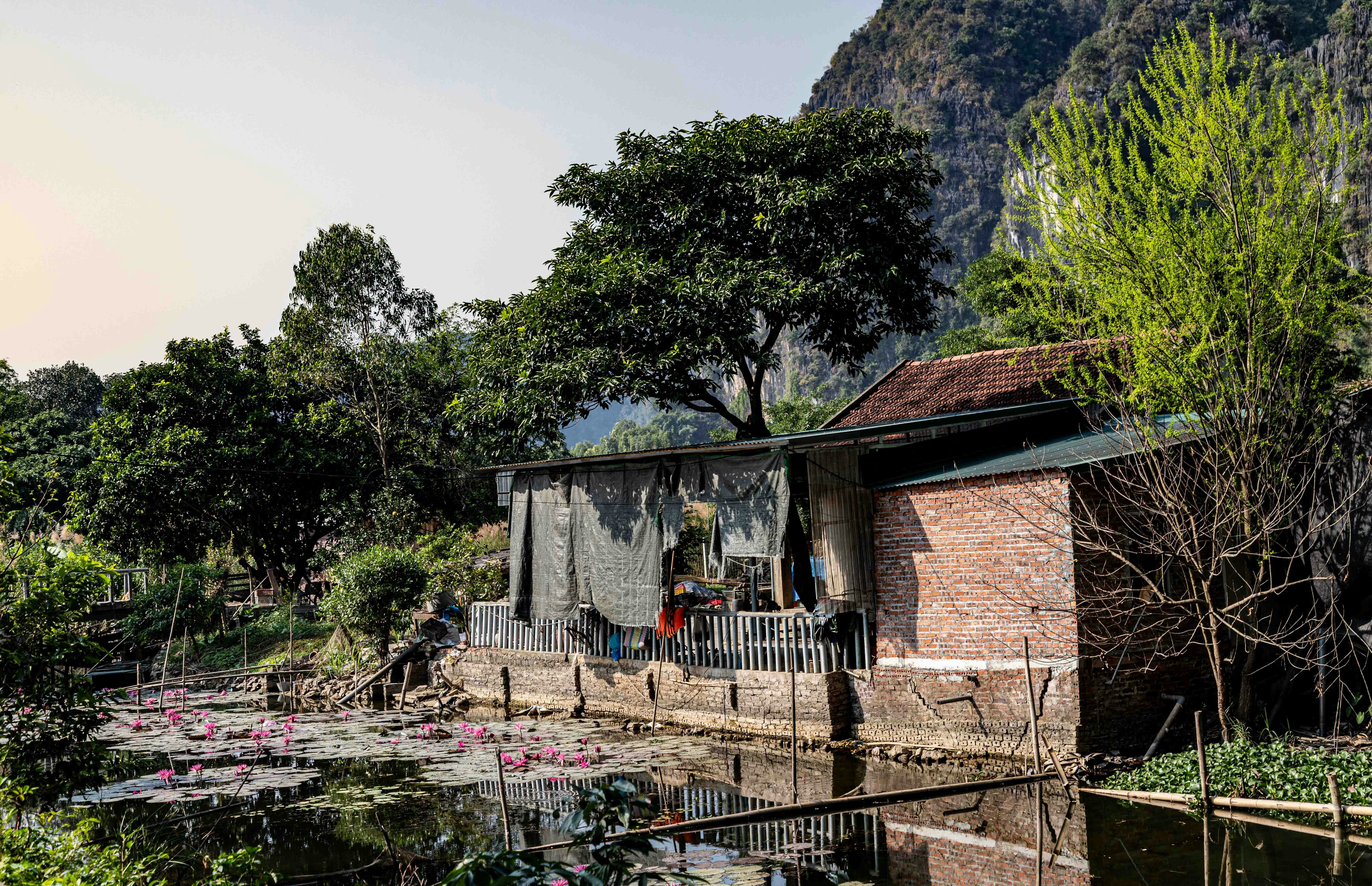 Hut by the Tainted Pond: Reflections of Quiet Rural Life