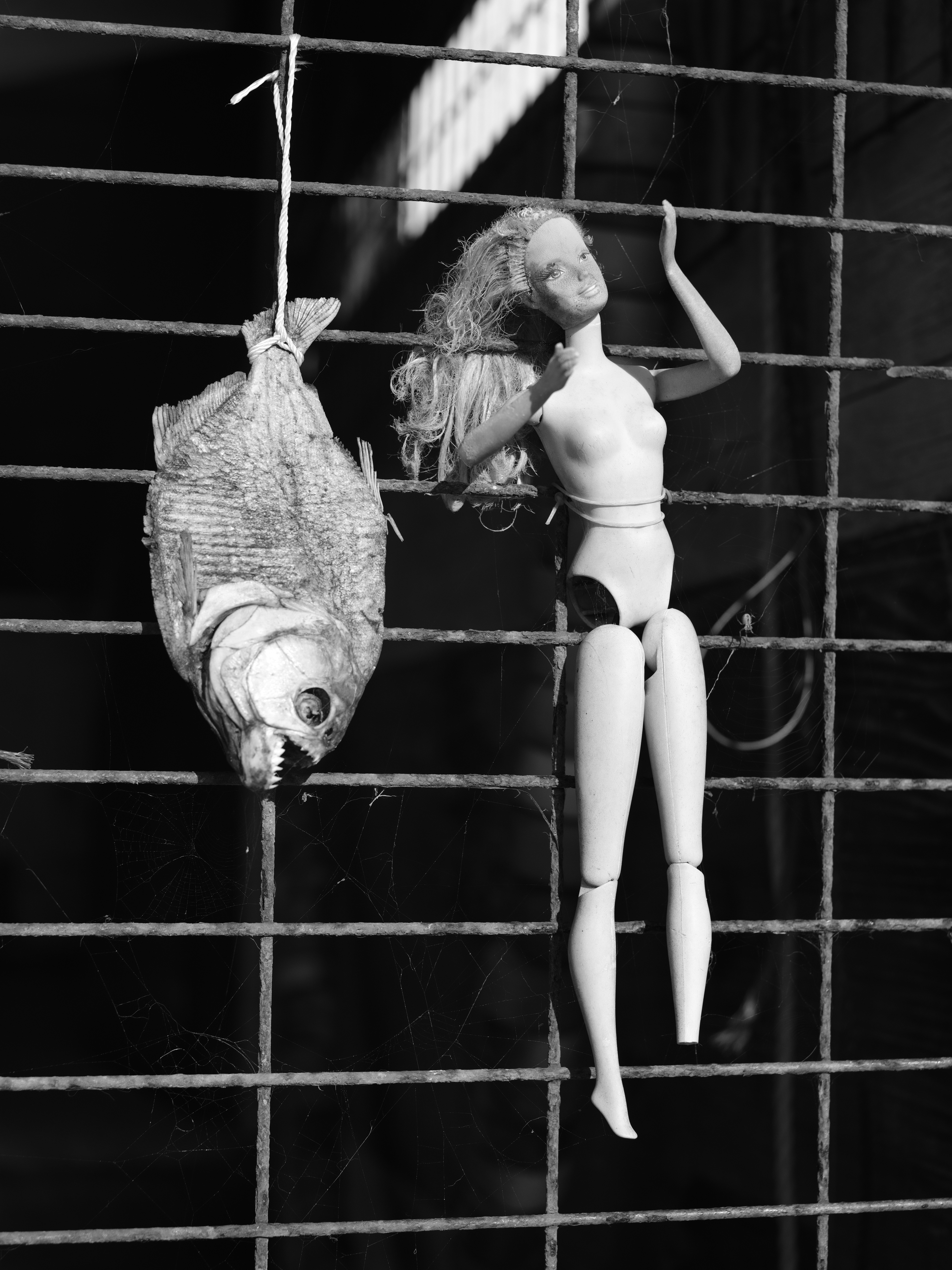 Tethered Dignities: A Doll and a Fish Silhouette on Rusted Bars