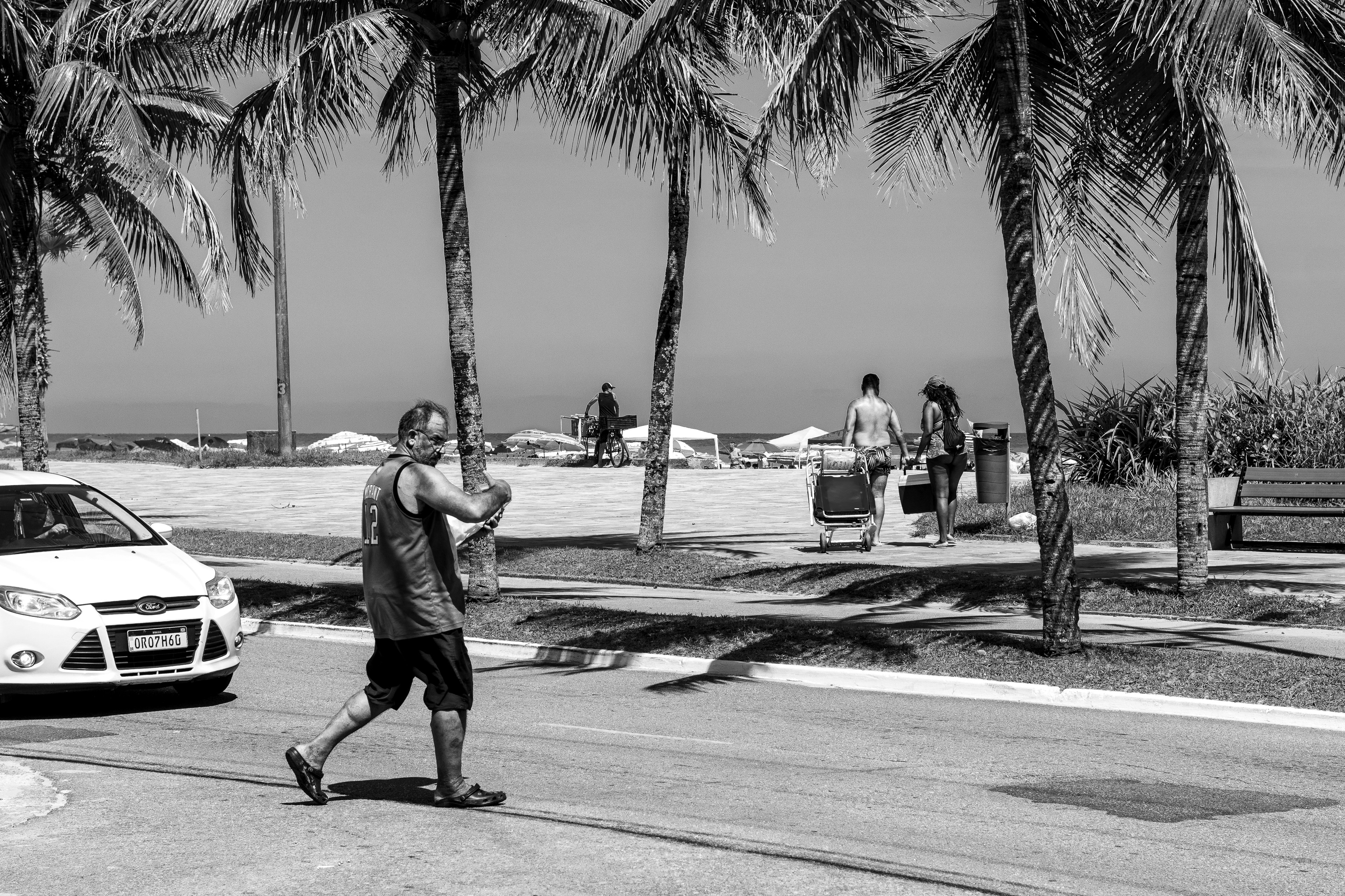 Palm-lined promenade: a grayscale beach scene on the move