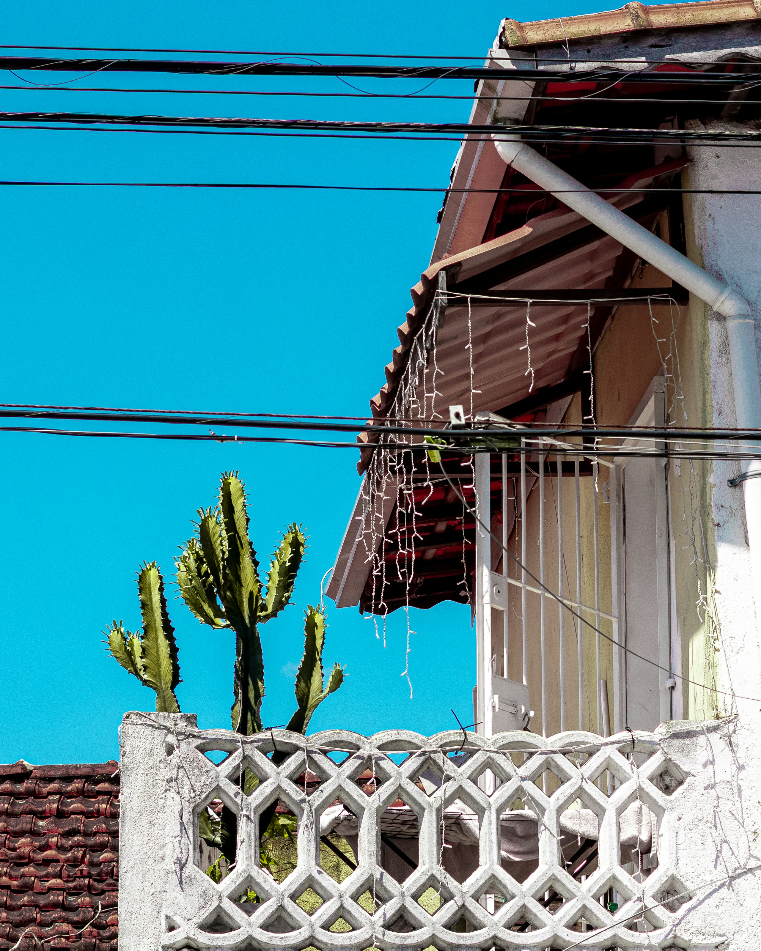 Blue Sky and Urban Lace: Balcony Graces Under Neon Wires