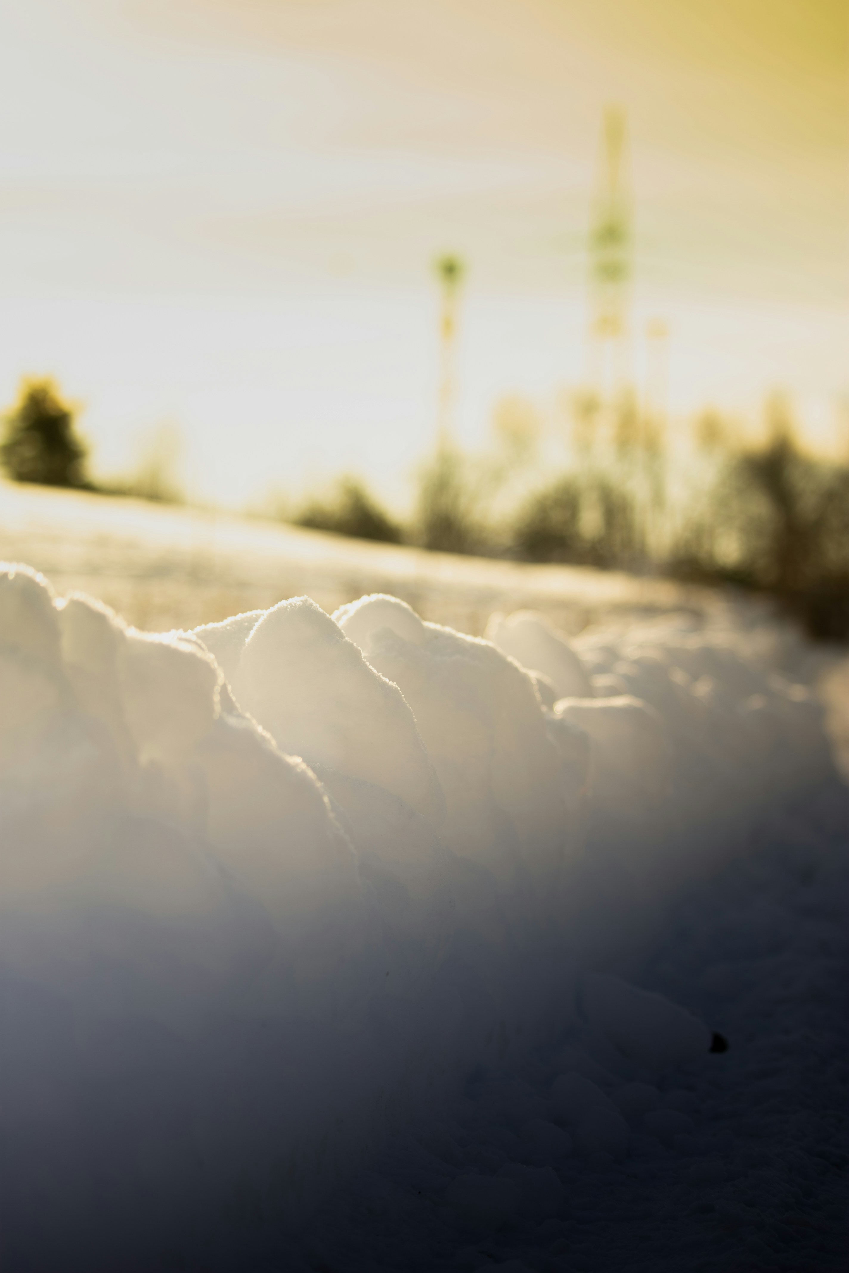 Snowy horizon: sunlit frost formations melt into a golden glow