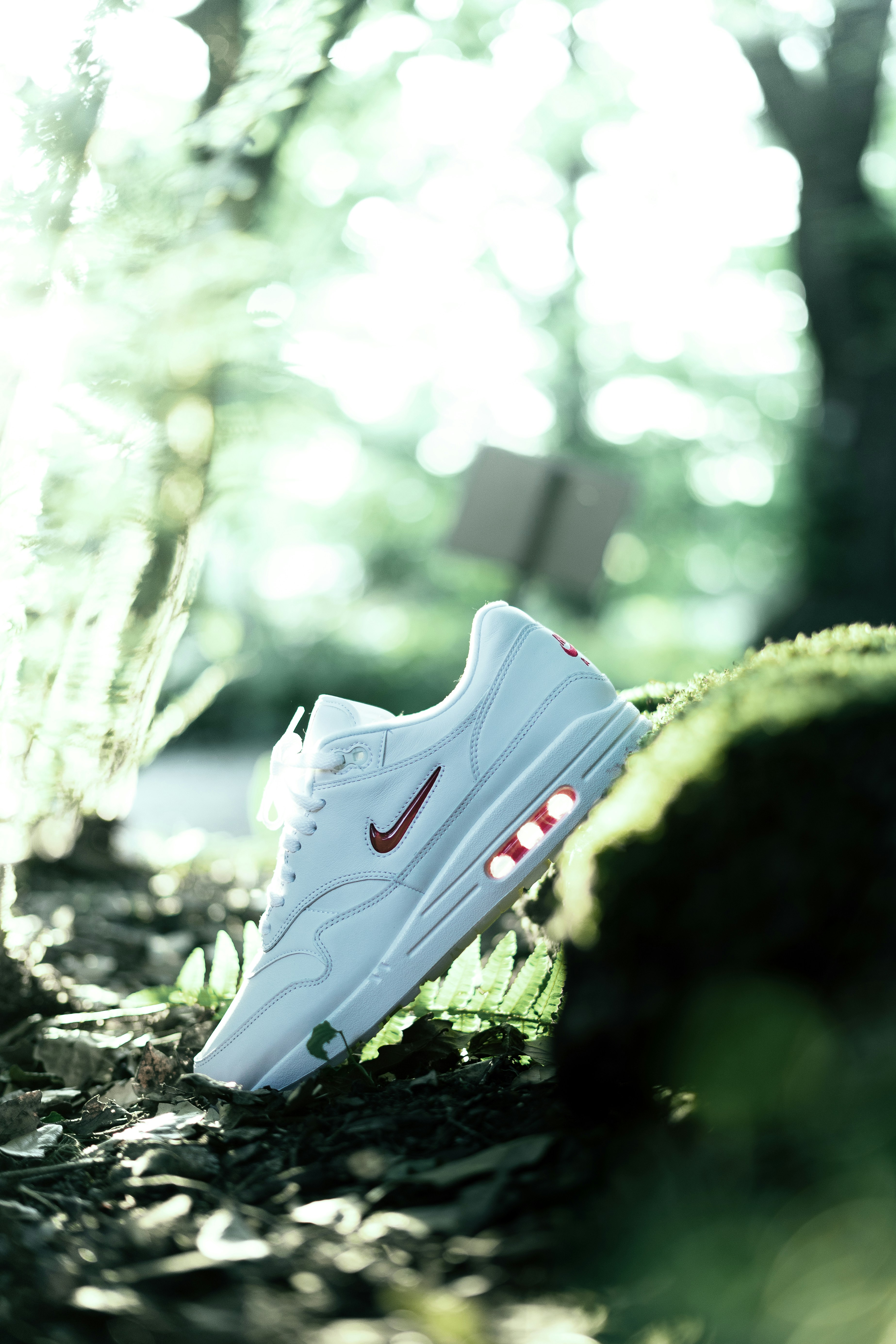 Lone White Nike in a Mossy Green Glen