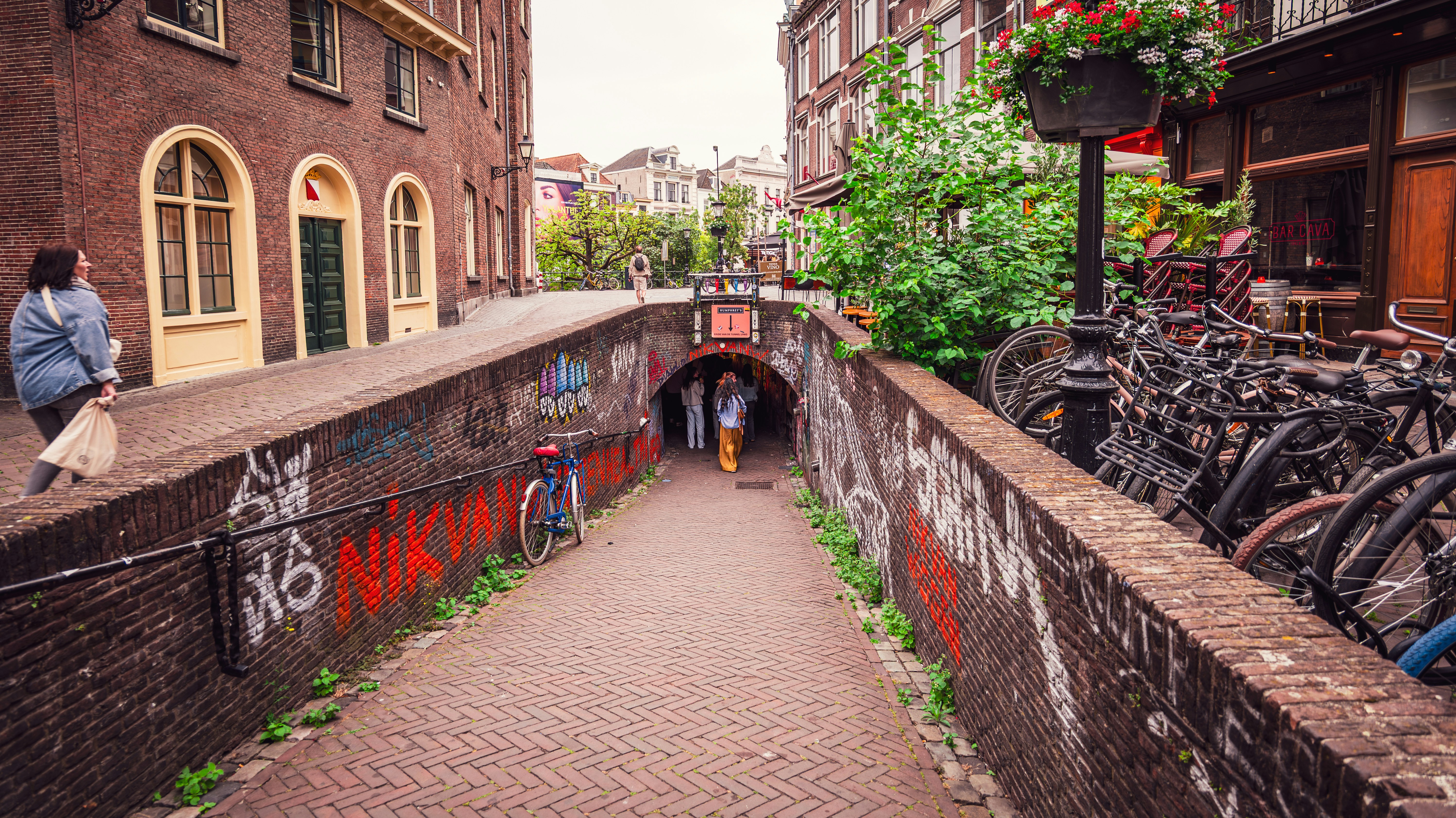 Path of Pedals and Bricked Echoes