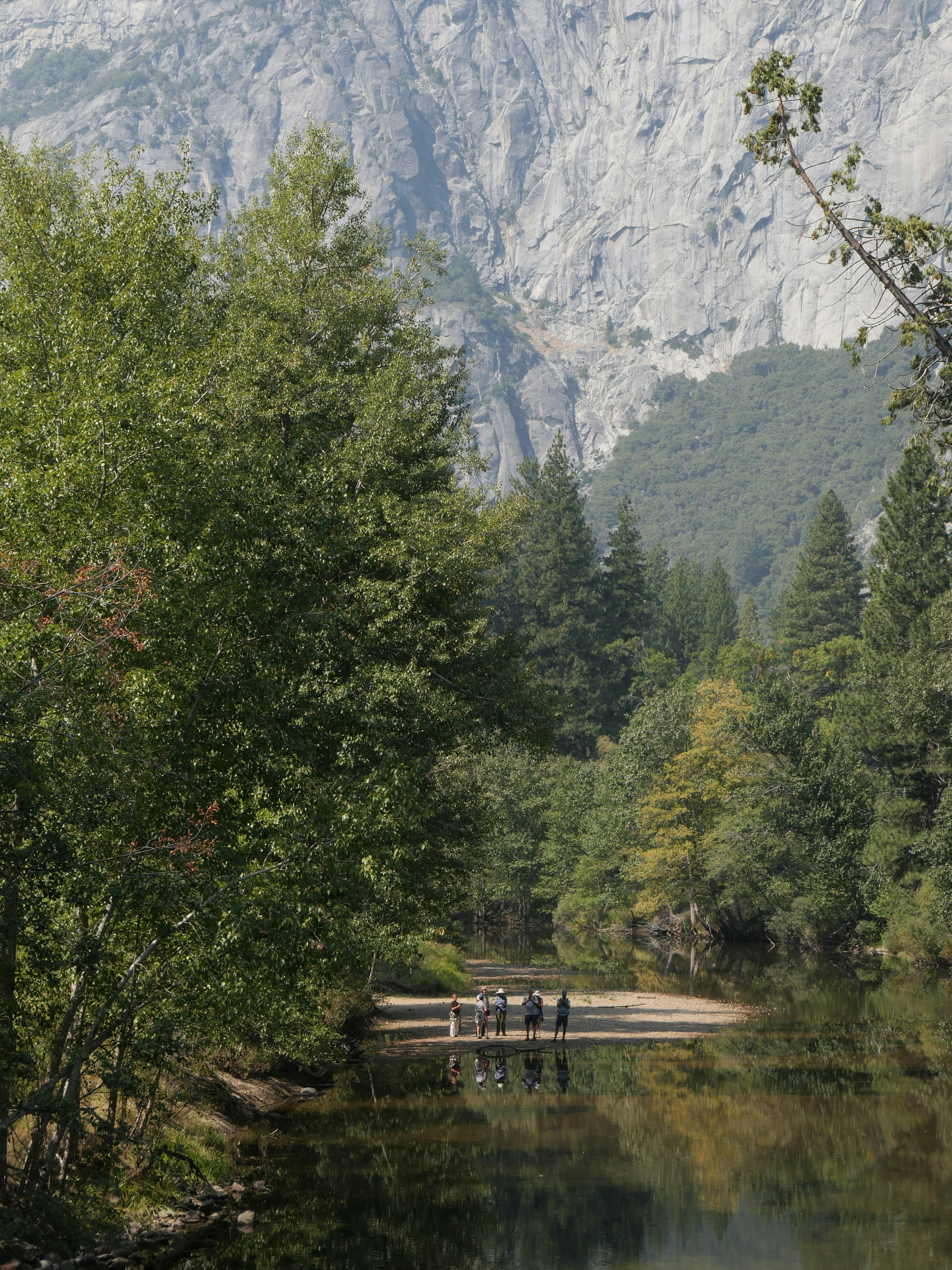 Shoreline Ramblers Beneath a Craggy Cliff