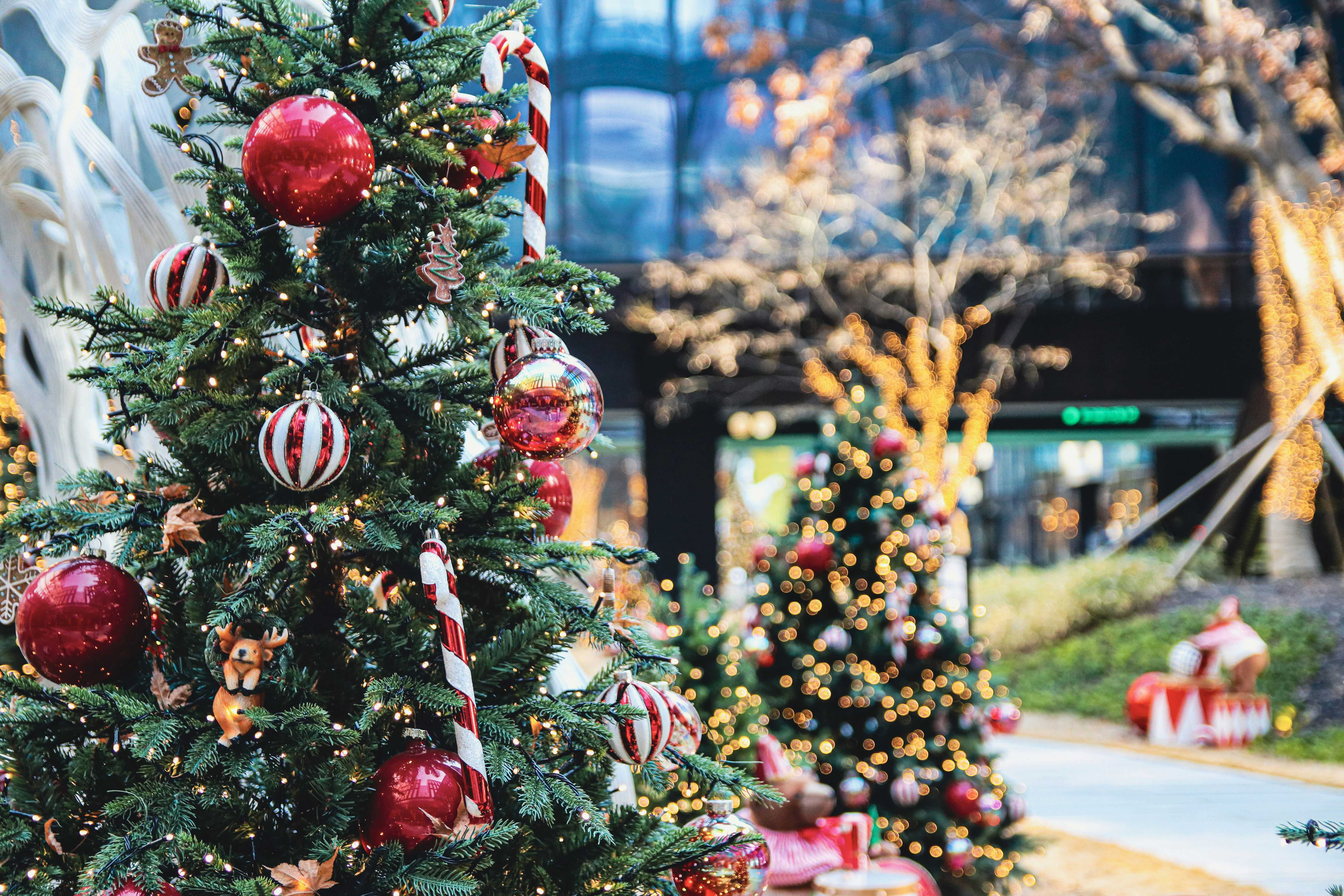 Candy Canes and Christmas Ornaments: A Festive Garden of Lights