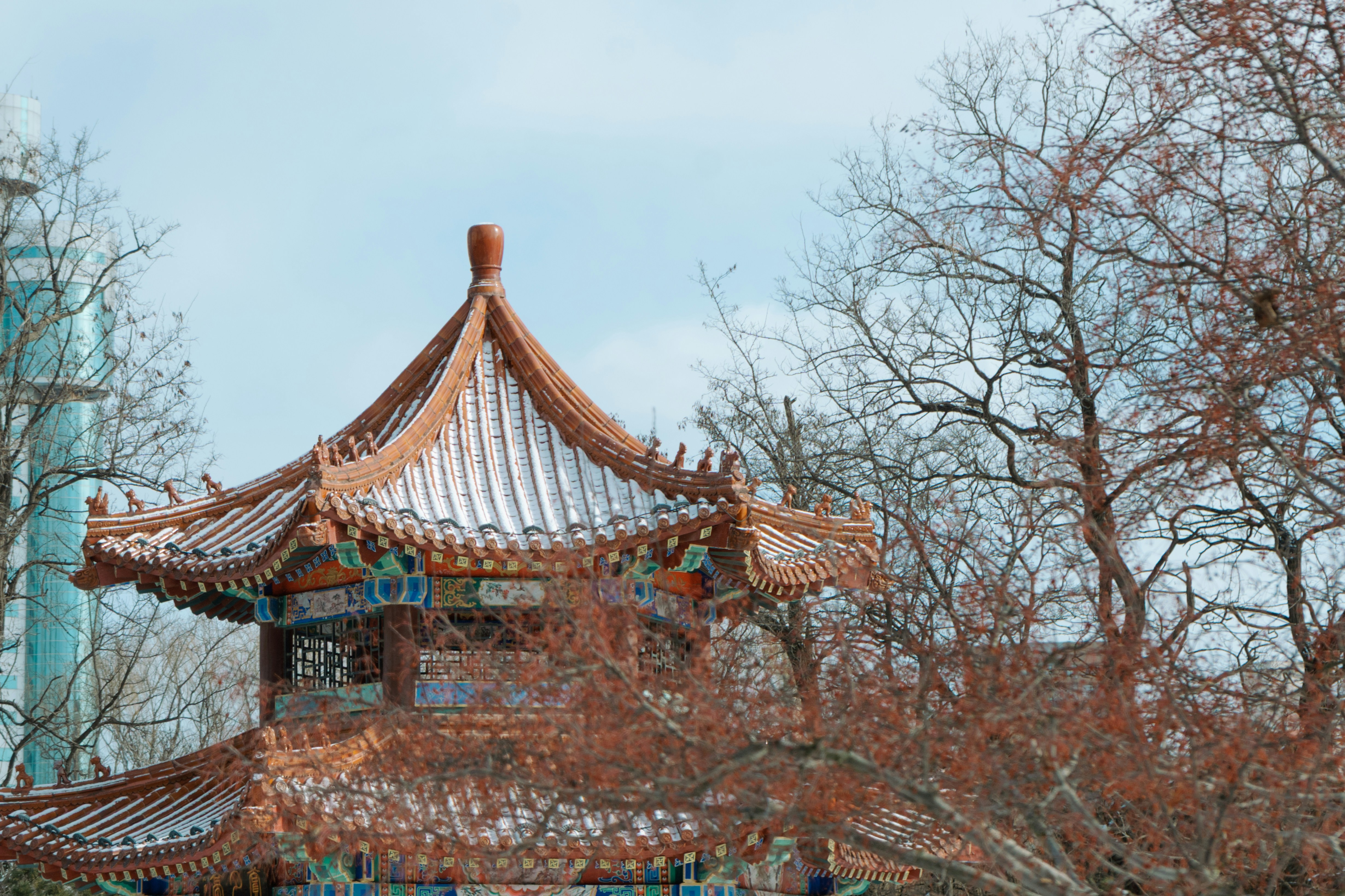 Rising Rooflines: A Chinese Pavilion Peeks Through Winter Branches