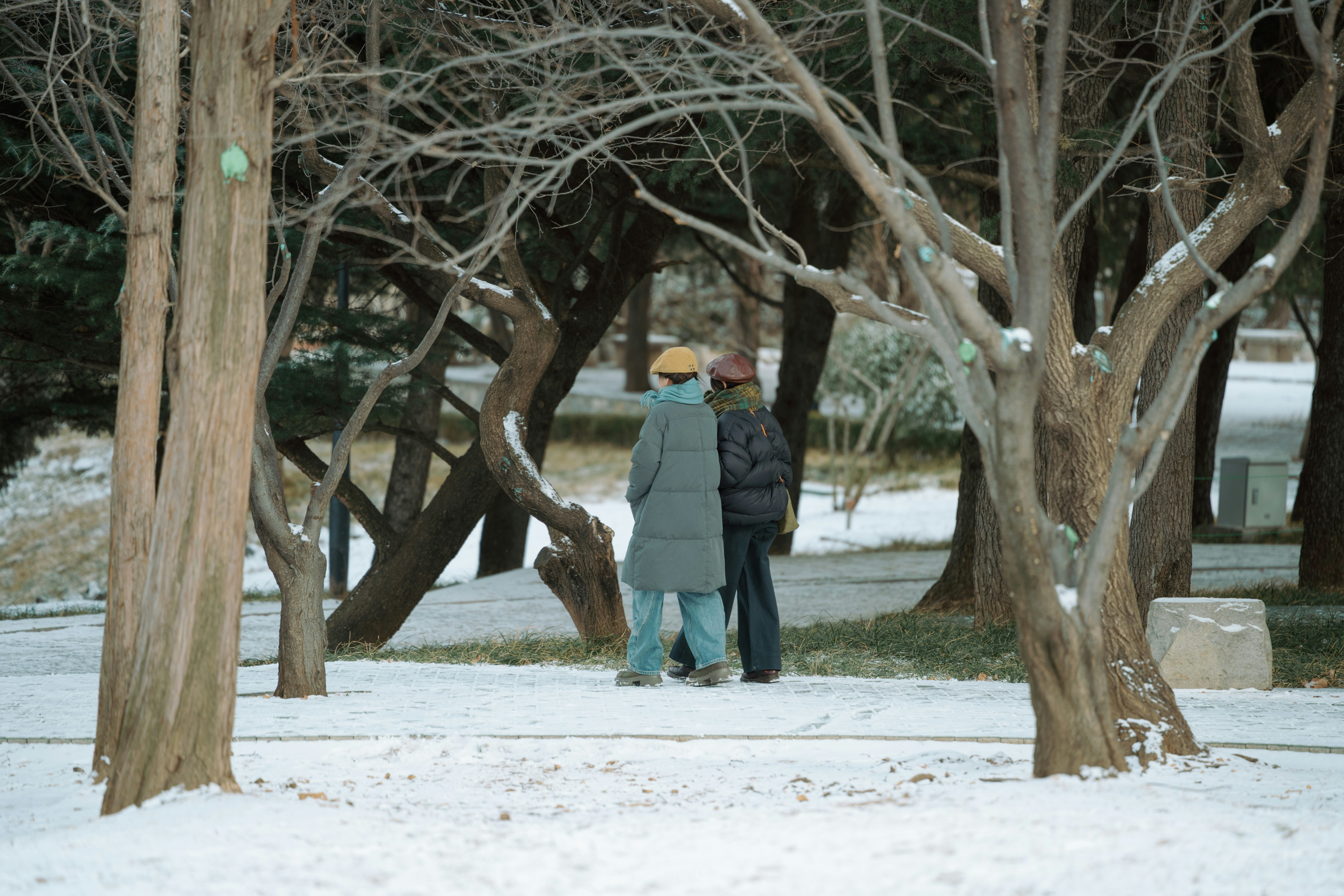 Winter Walk: A Quiet Moment Between Friends Amid Snow-Kissed Trees