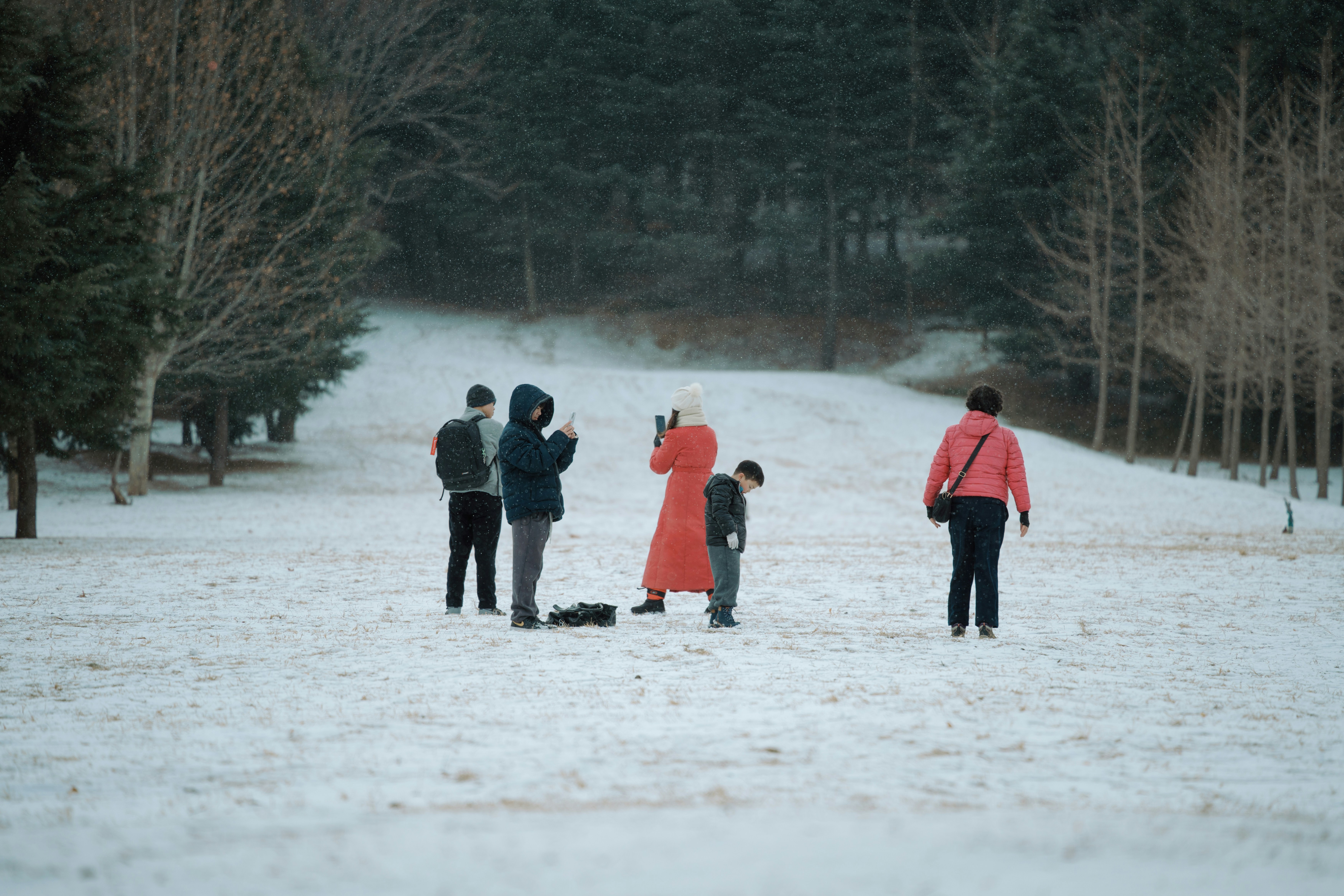 Snowfield Portrait: A Quiet Moment Captured in a Light-Wrapped Clearing