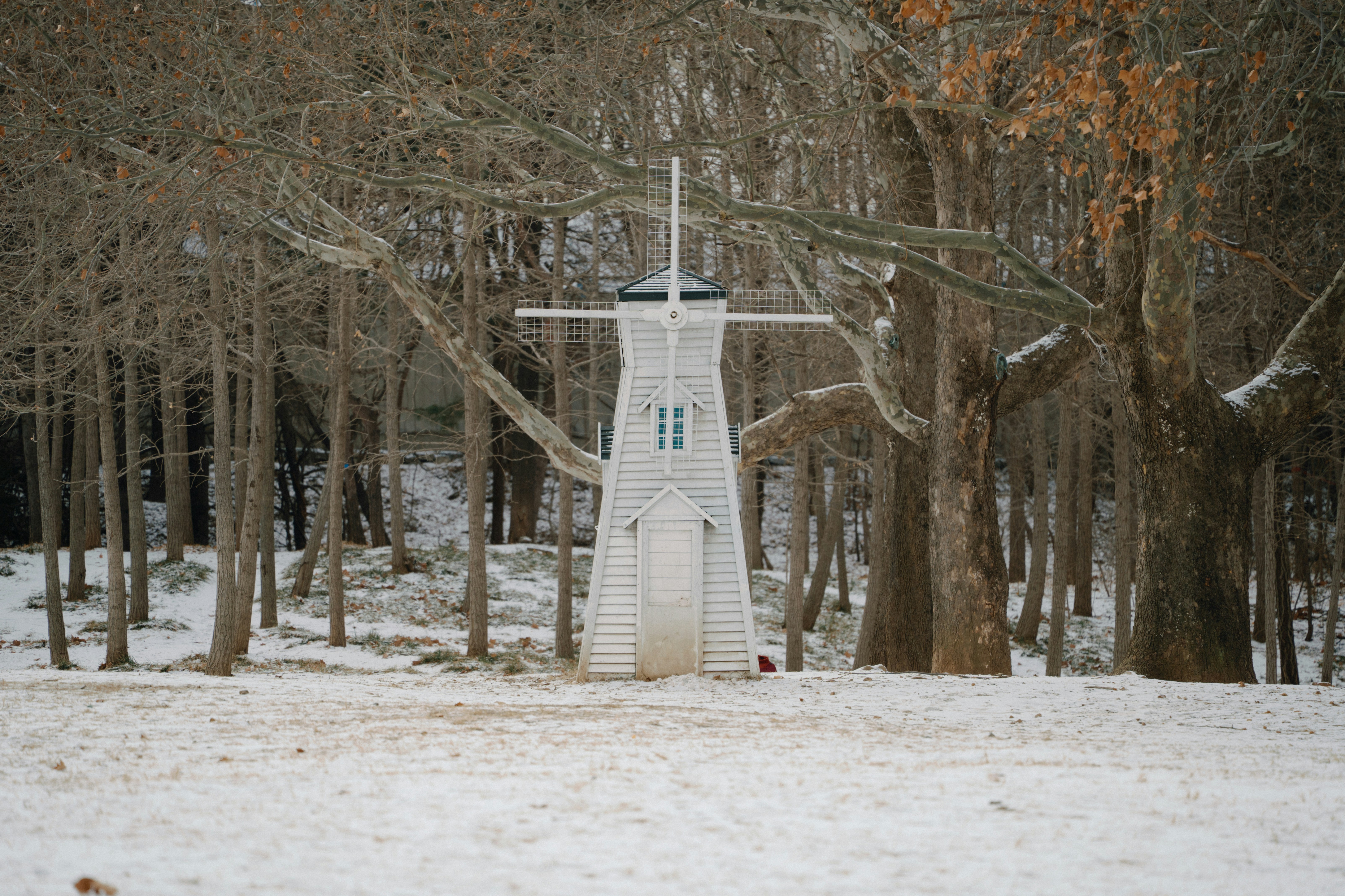 Snowy Shrine in the Forest