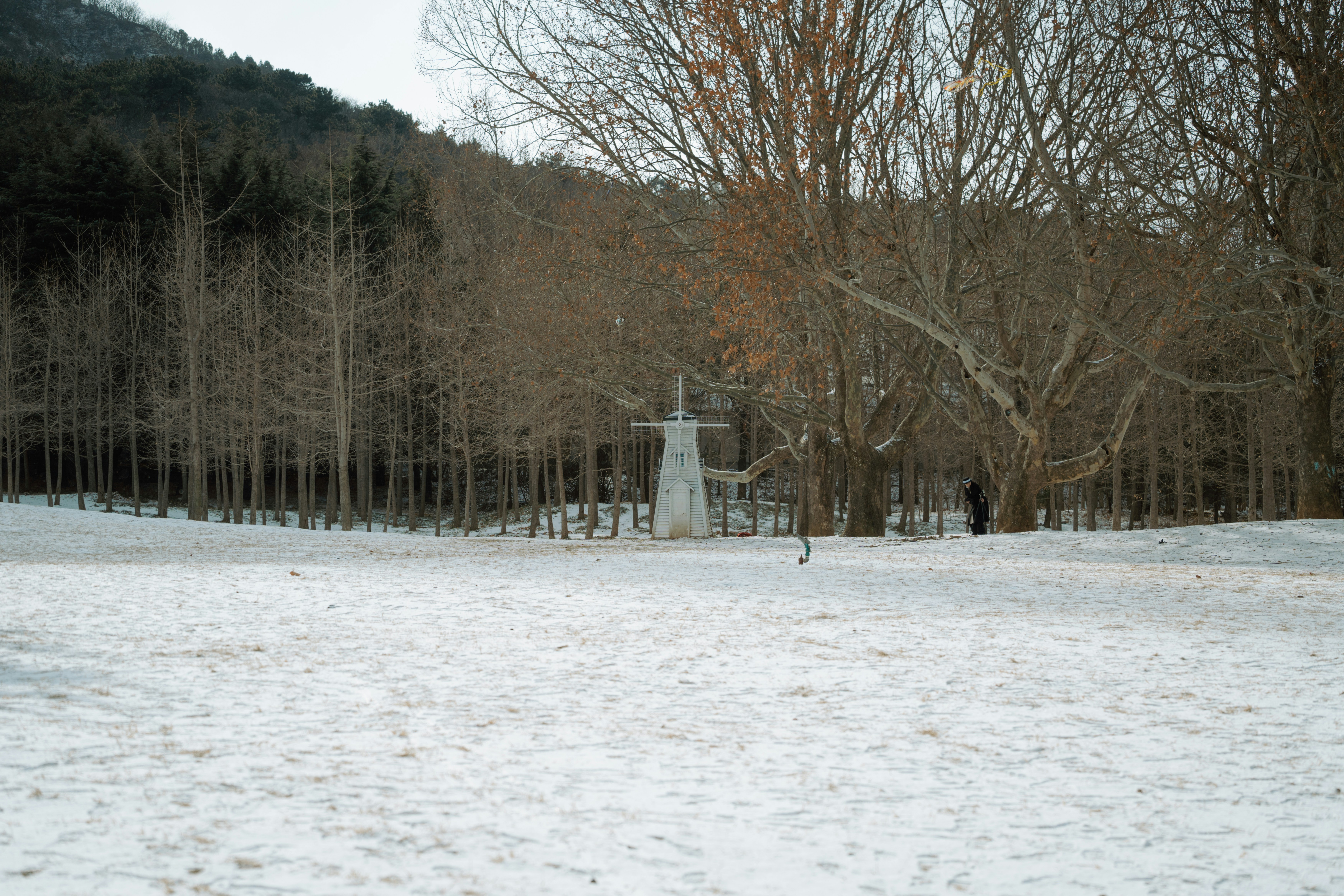Snowbound Park with Lone Monument Beneath Bare Trees