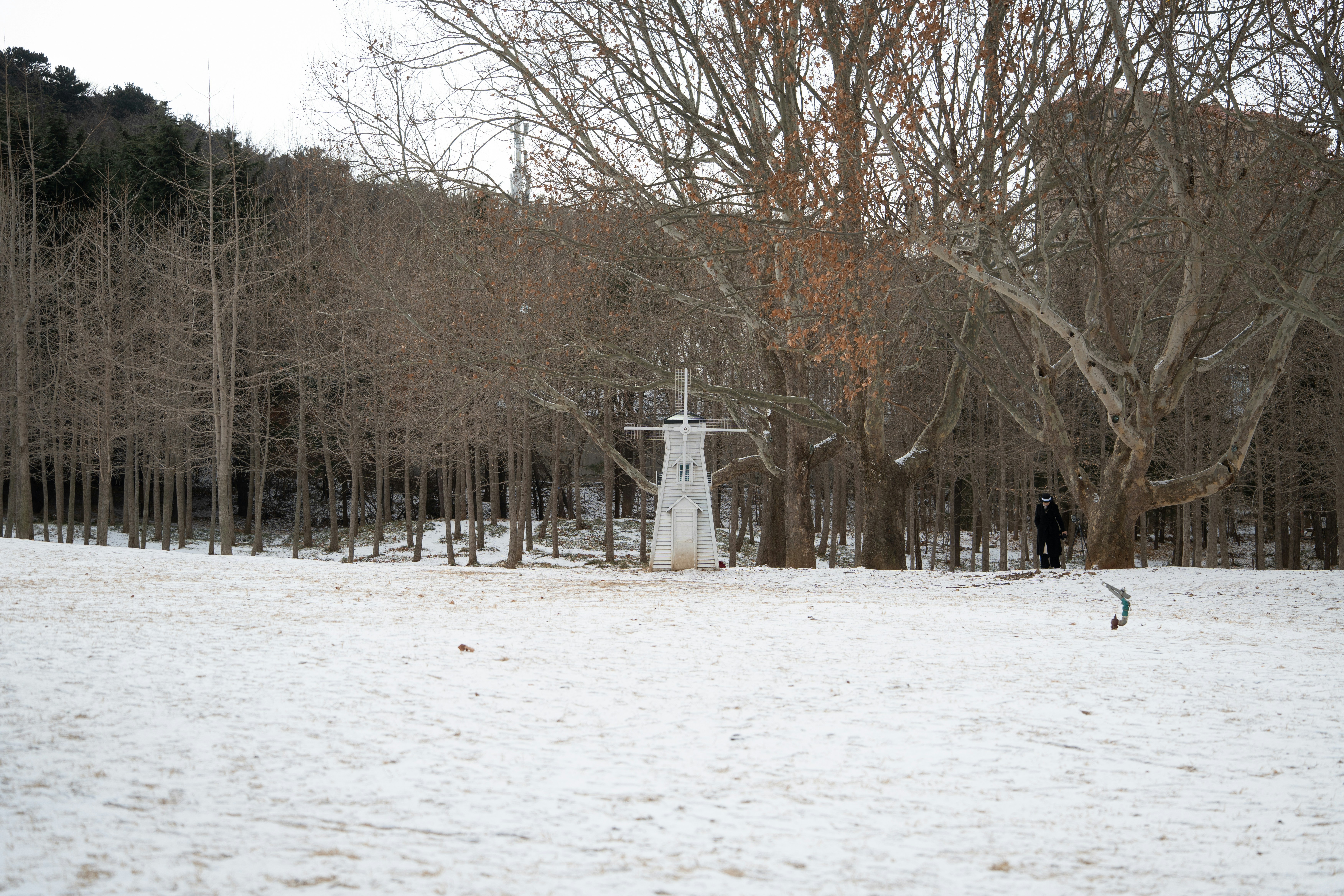 Winter Clearing: A Snow-Kissed Park with a Lone Statue