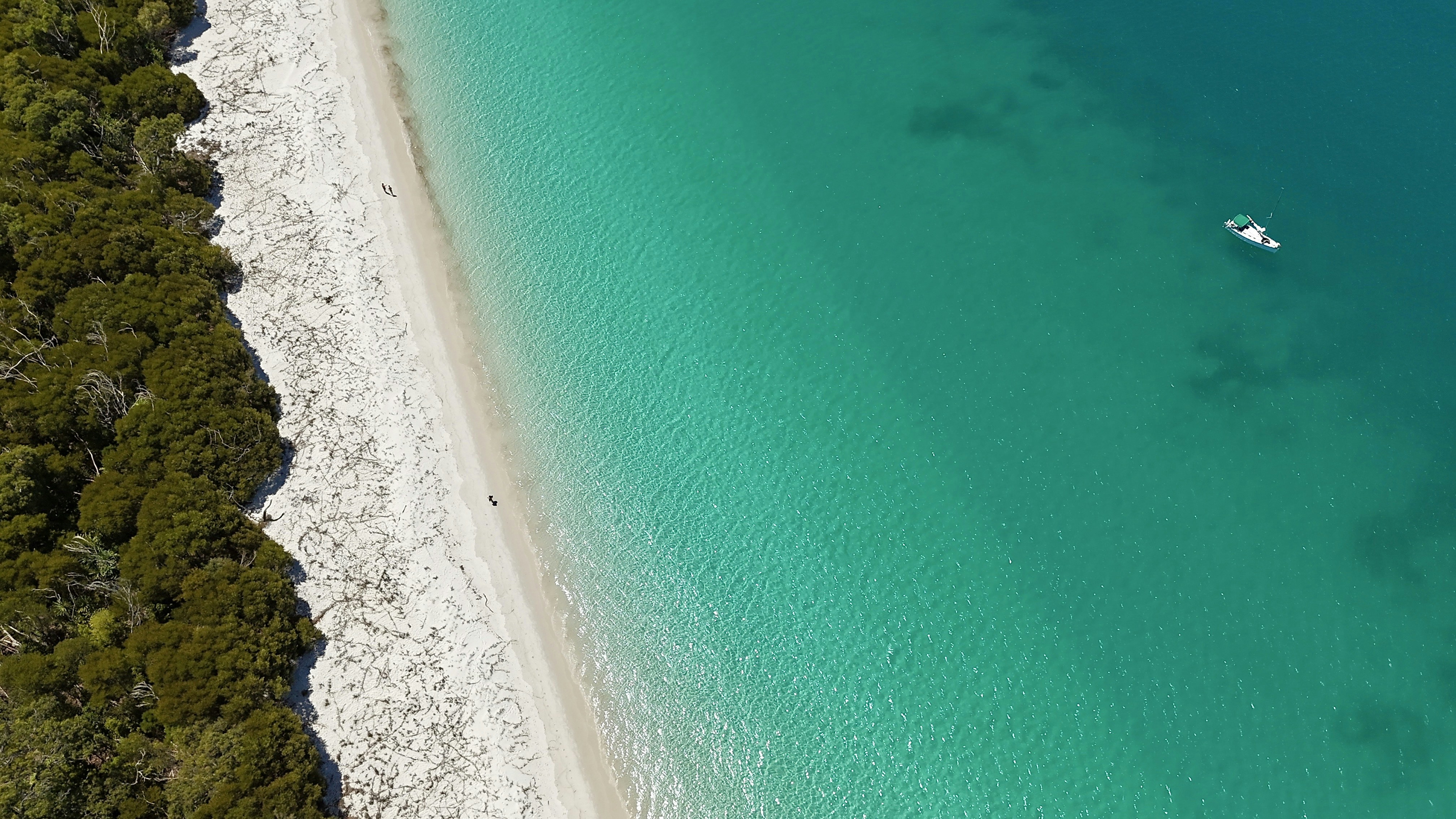 Aerial view of a white sand beach and turquoise ocean