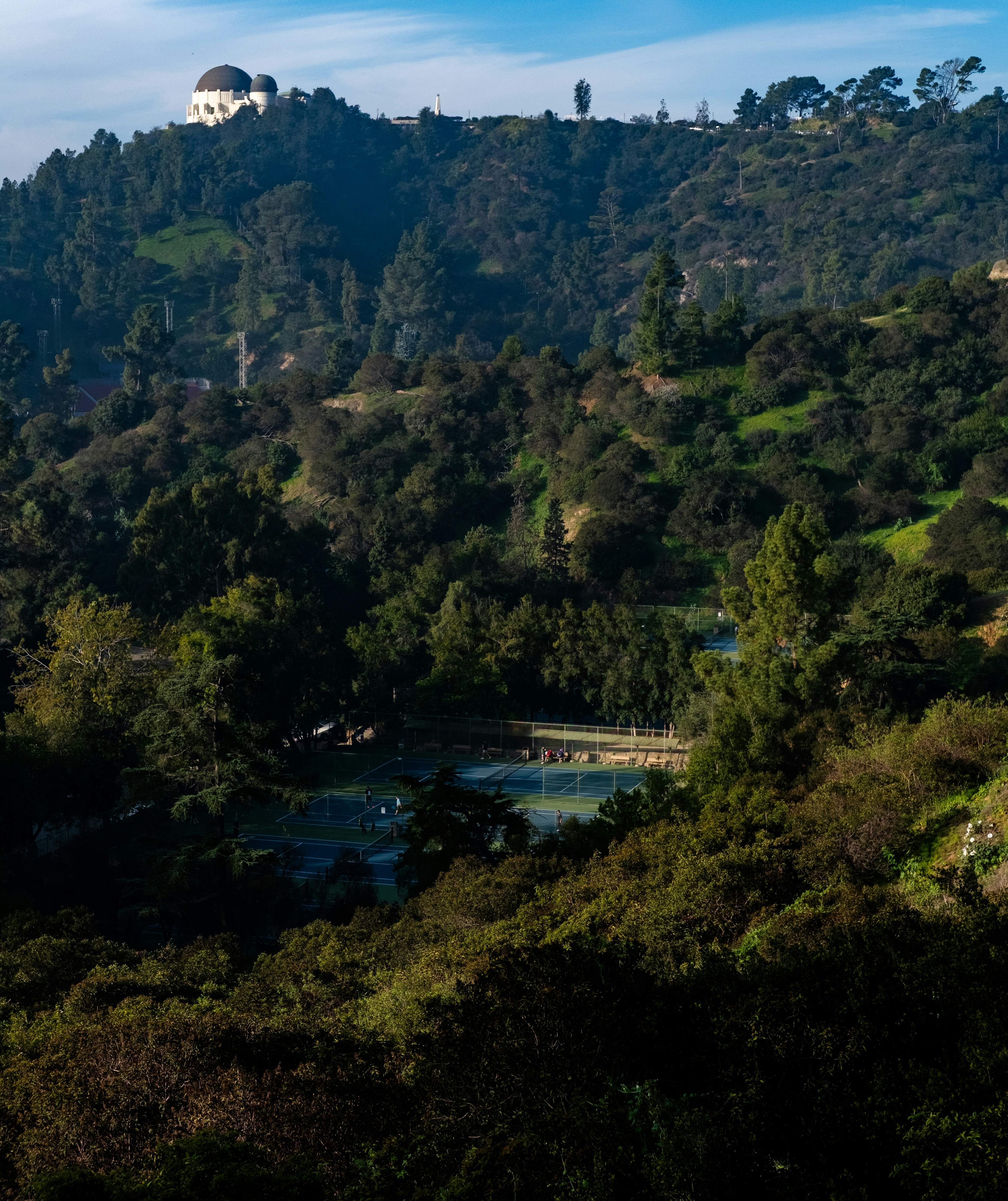 Hilltop Observatory Overlooking a Dense Forest and Tennis Courts