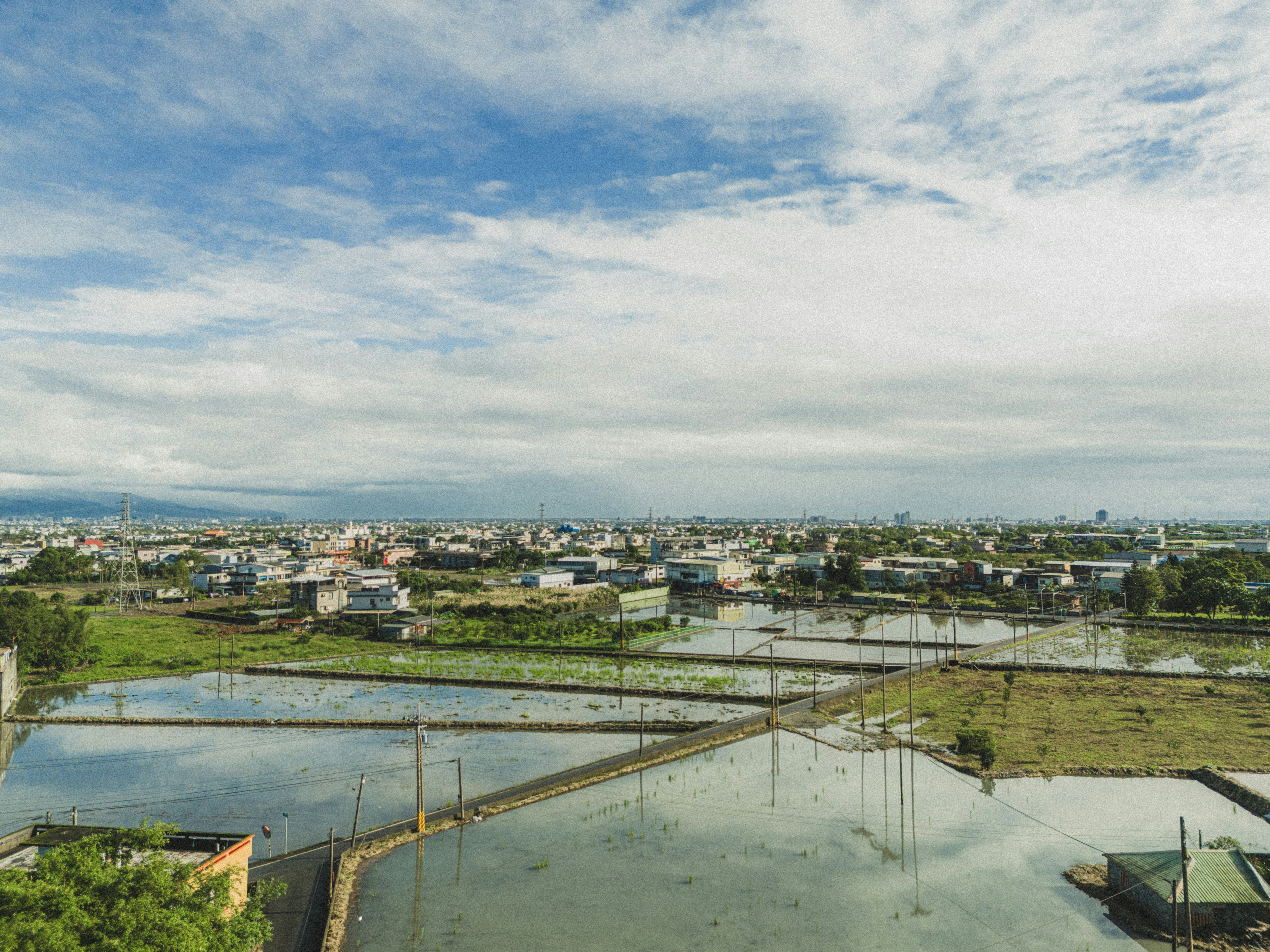 Rice fields and a town under a cloudy sky