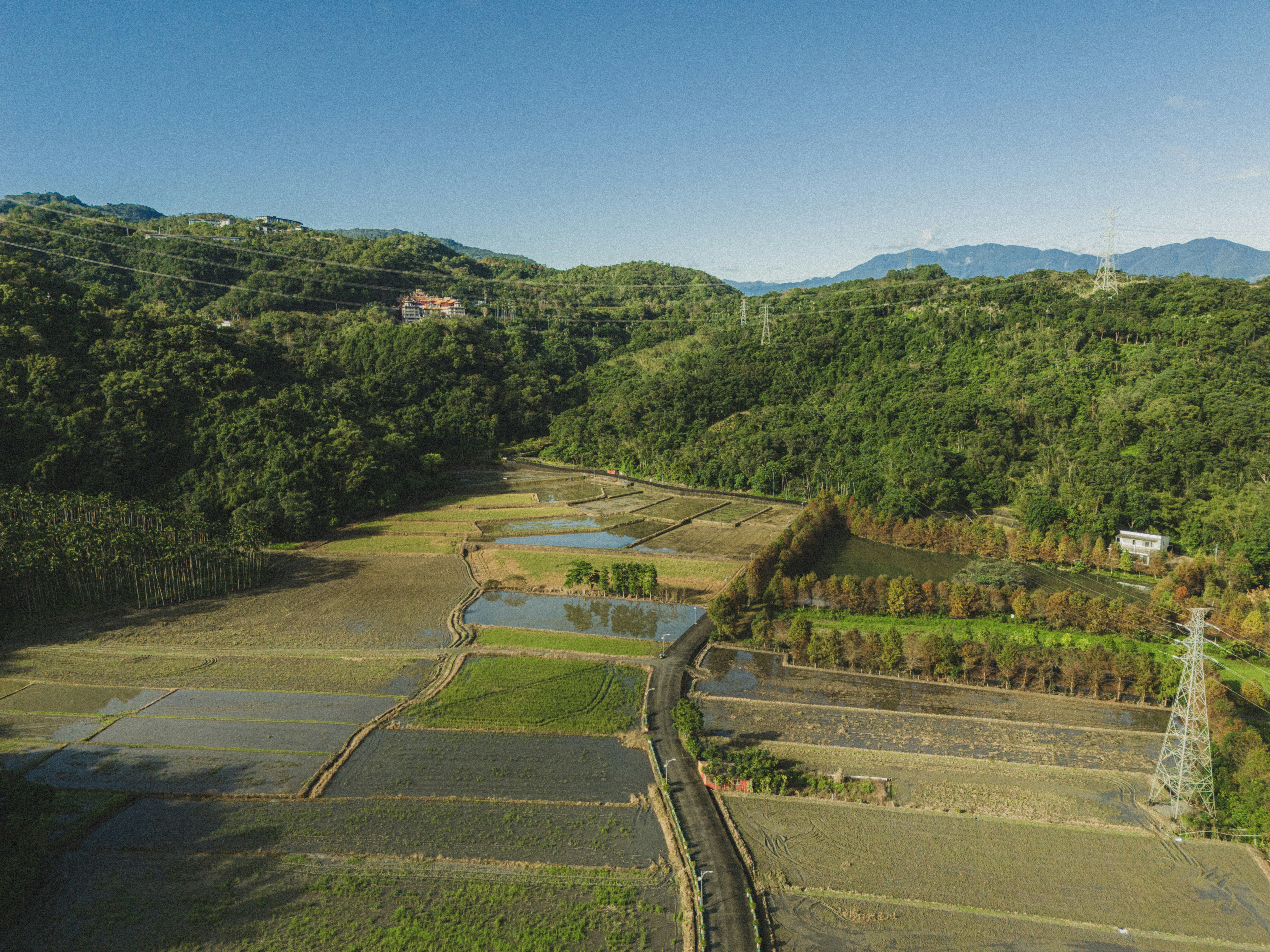Terraced rice fields in a lush green valley.