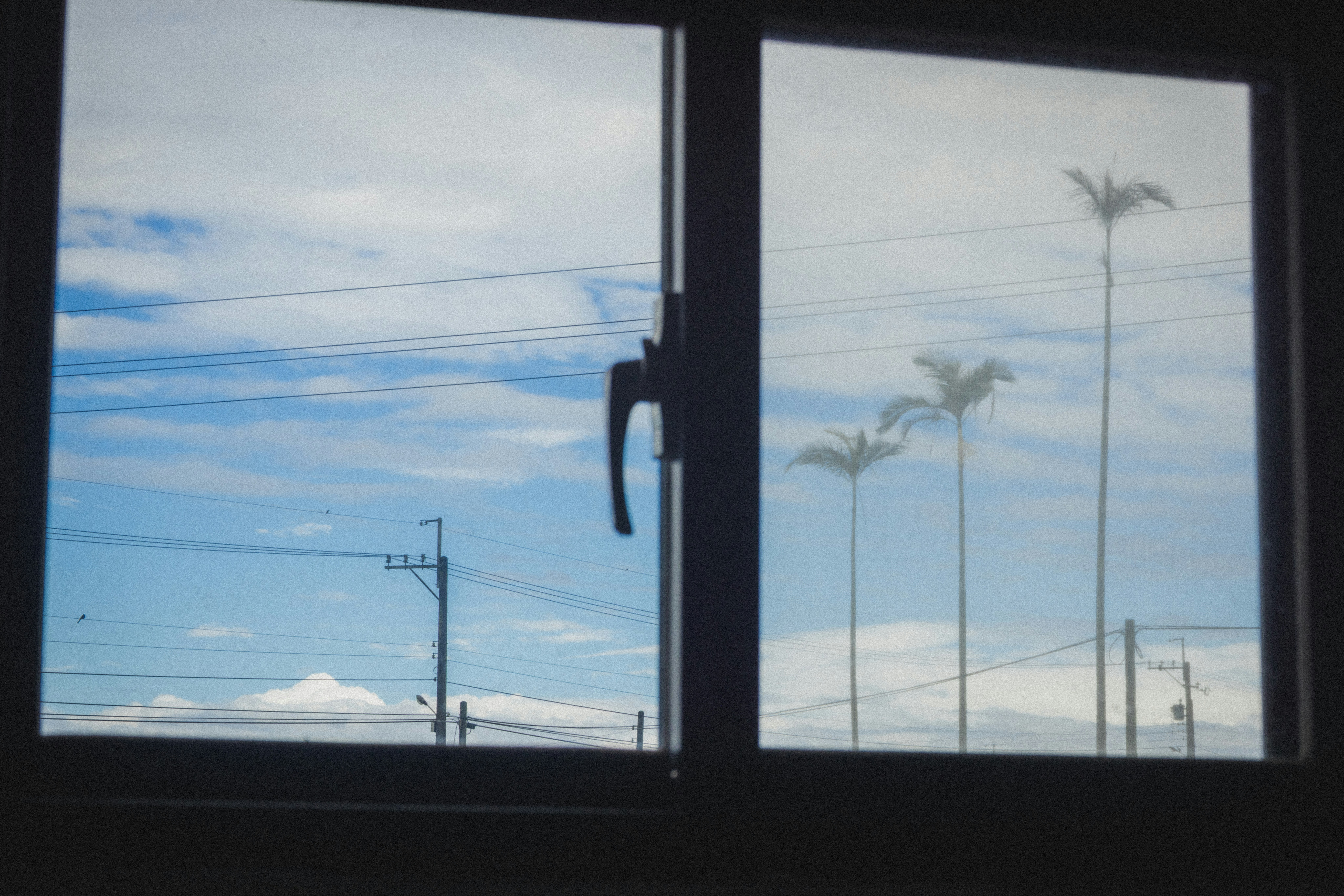 Window Frame, Skyline, and Palm Silhouettes