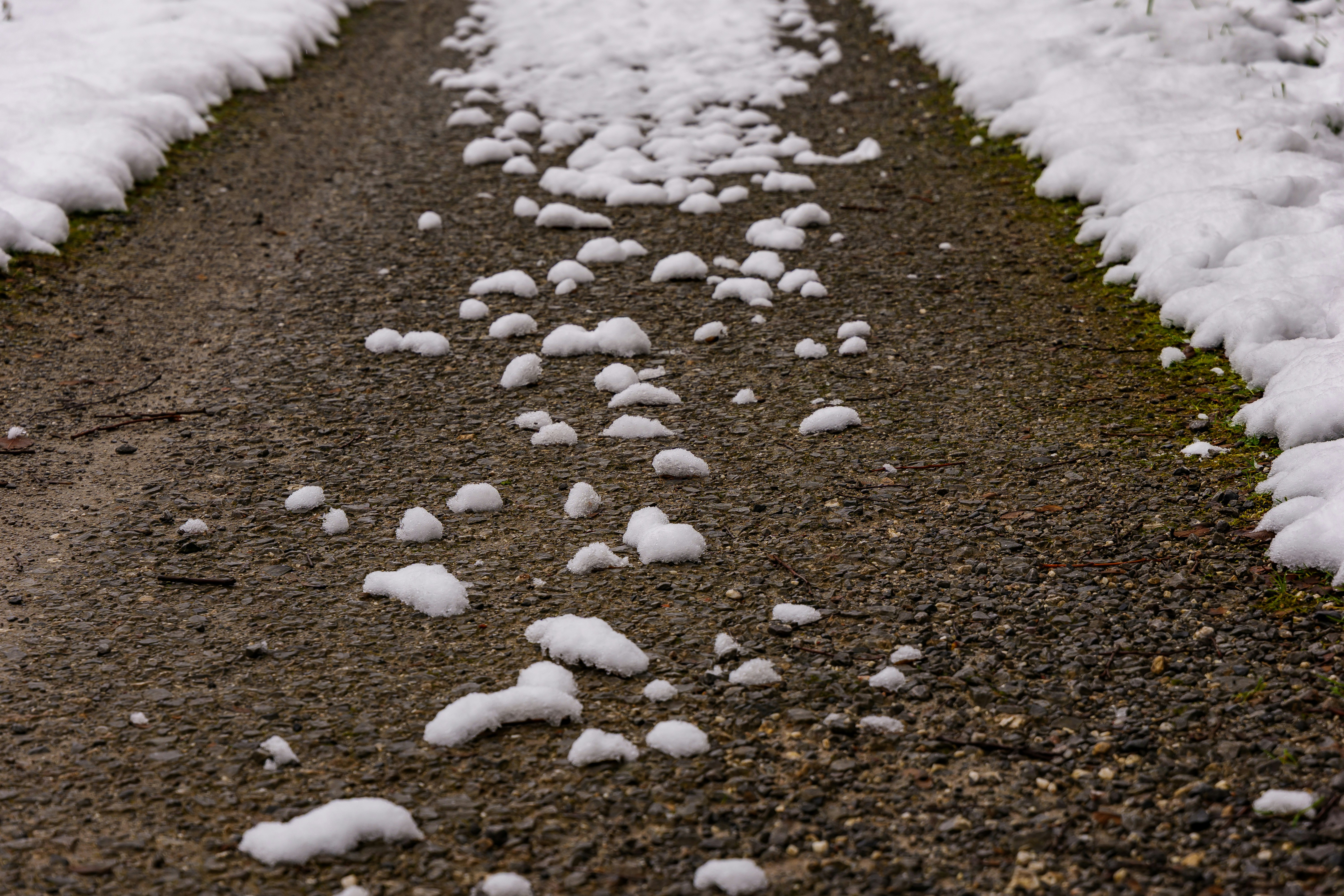 Snow-dotted Path: A Quiet Walk Down a Frosted Lane