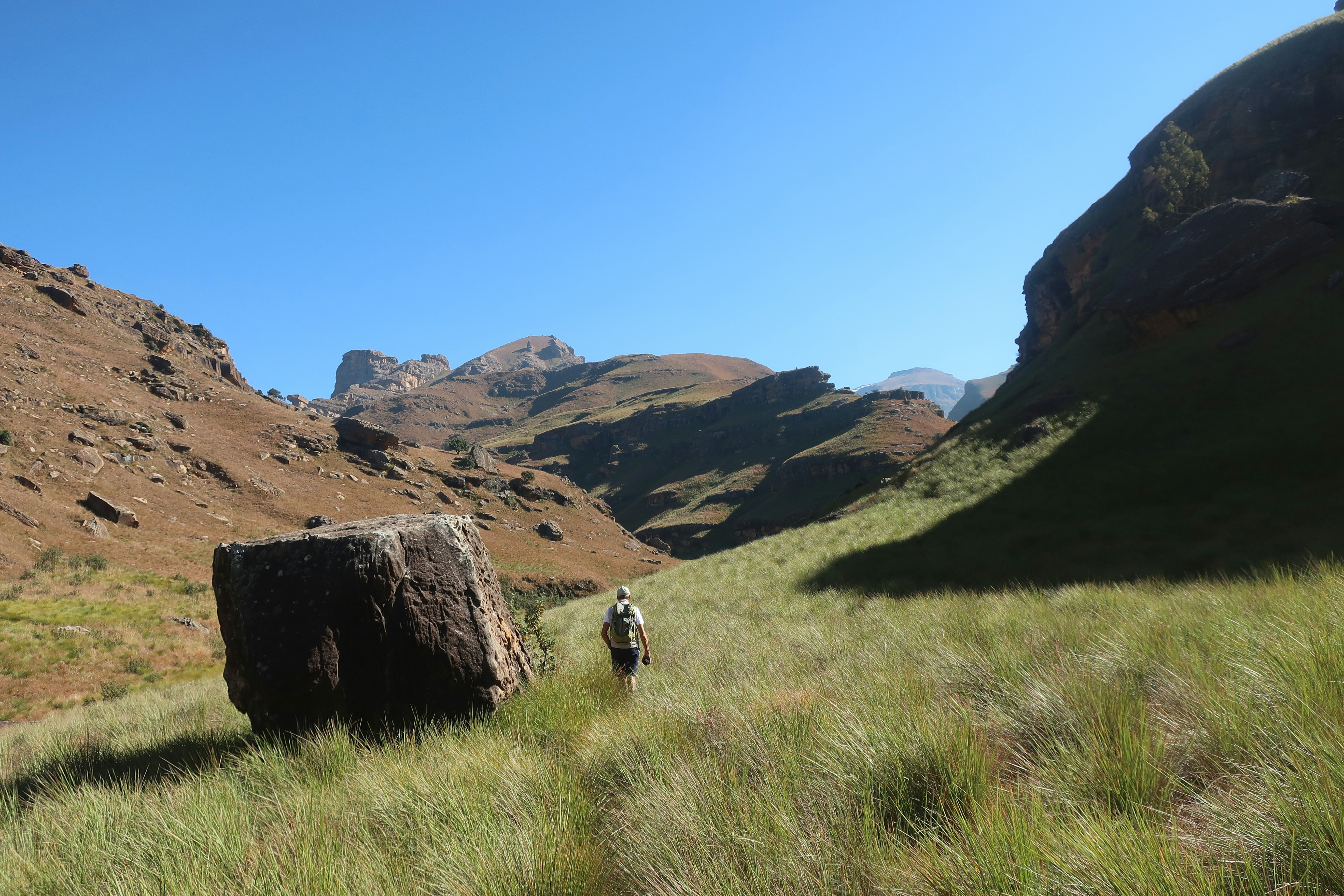Hiker Beneath a Majestic Canyon: A Pulse of Grass and Stone