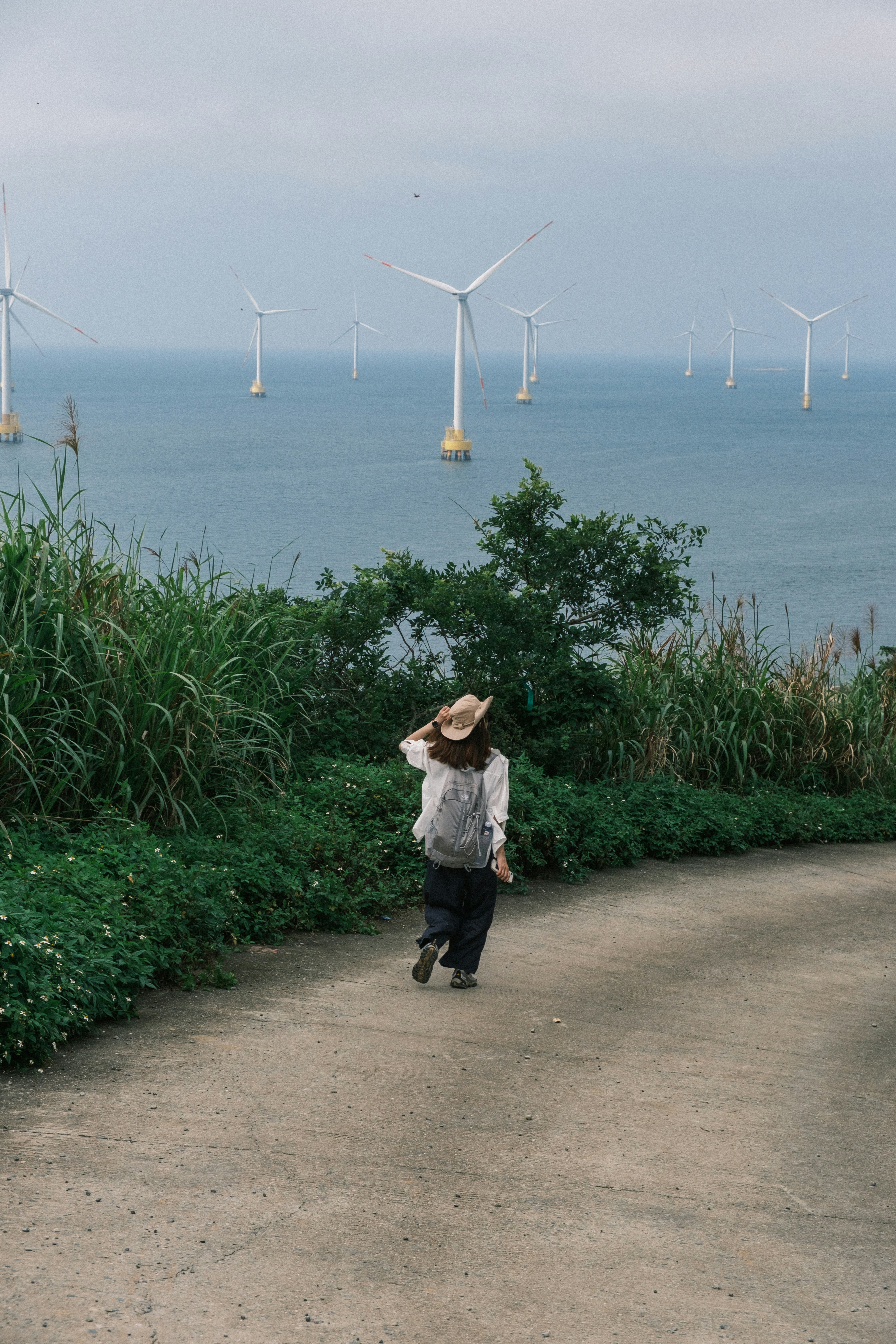 Coastal Path and Wind Farm: A Child’s Quiet Exploration