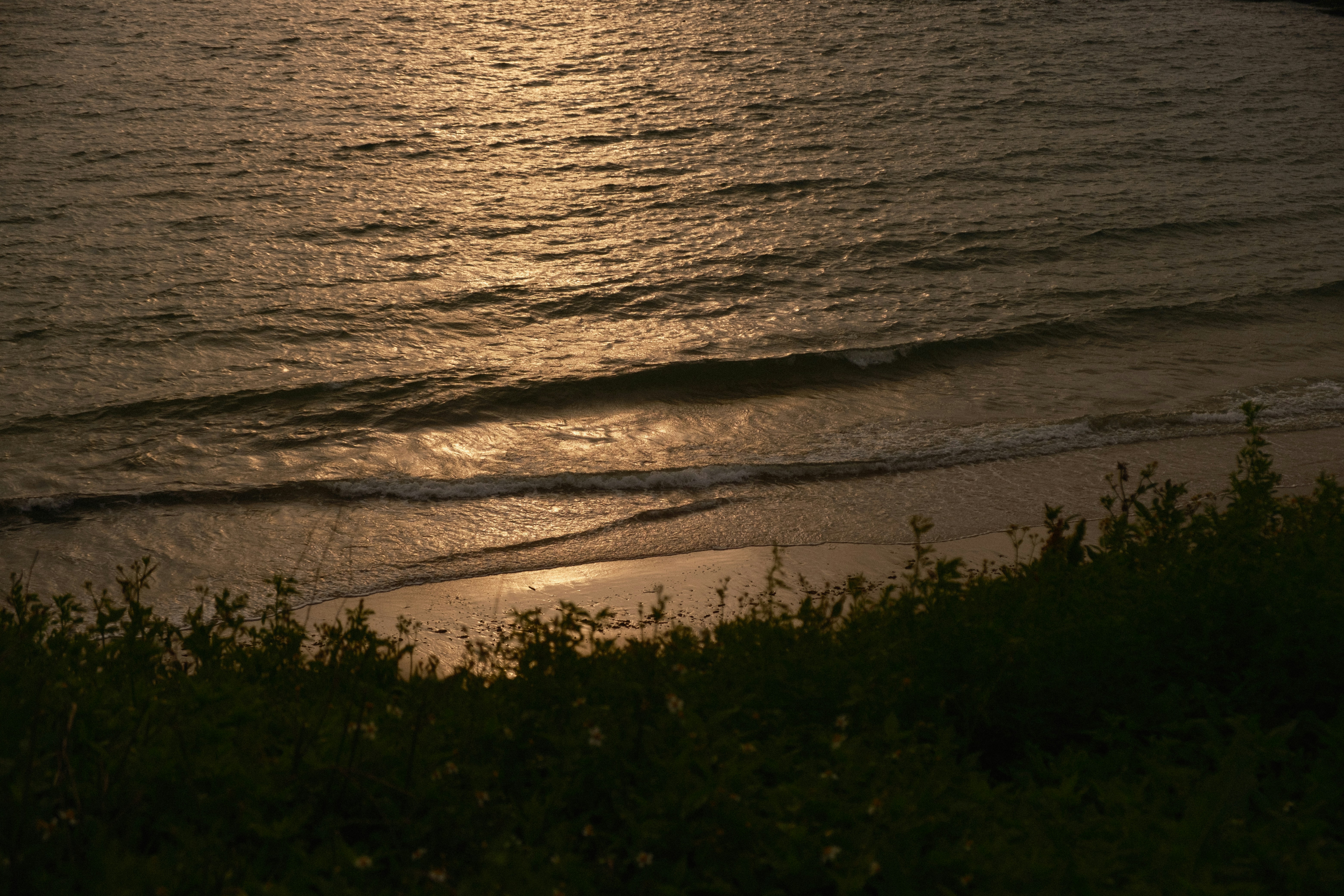 Golden Hour Shoreline Whispers