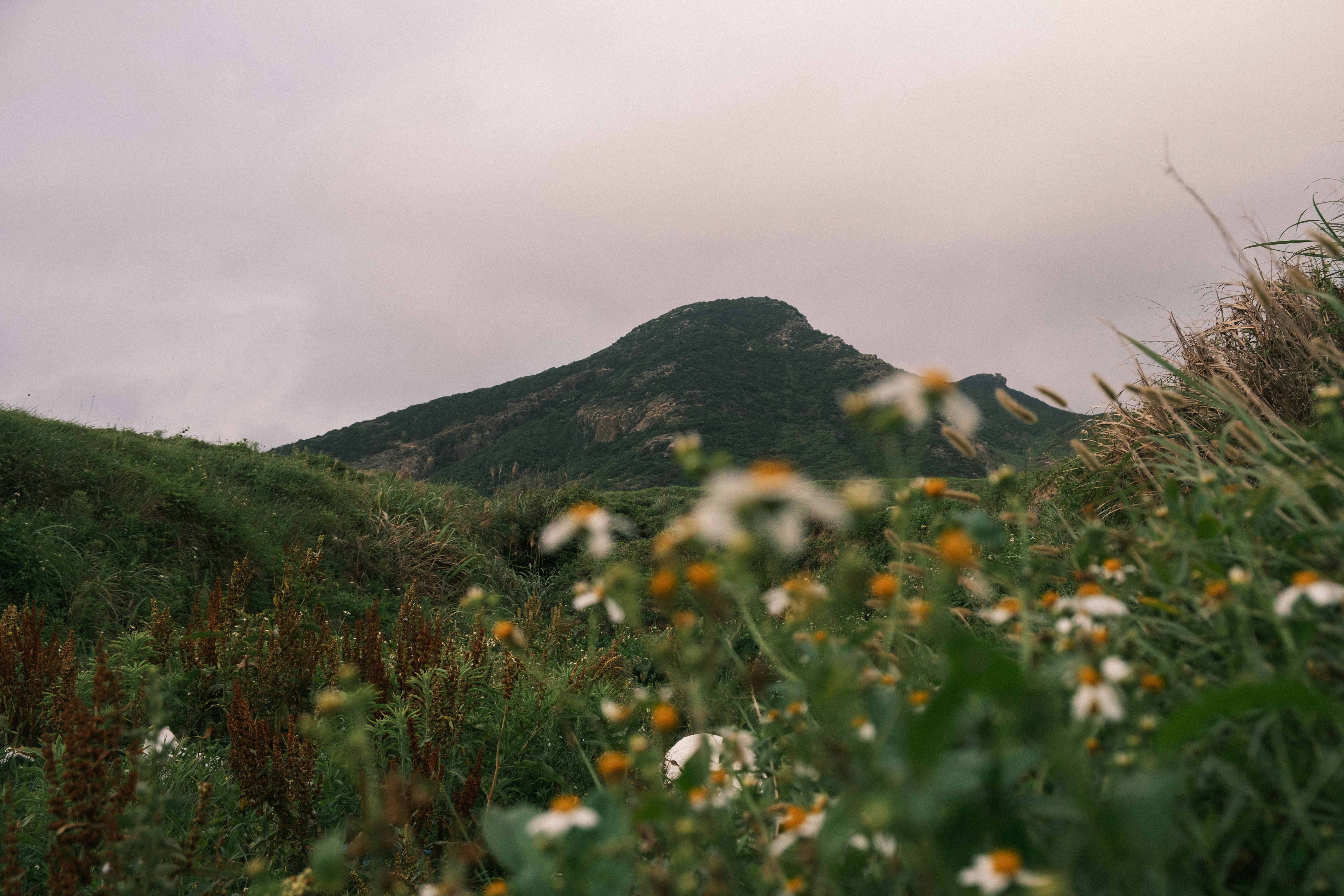 Dawn over the Meadow Ridge