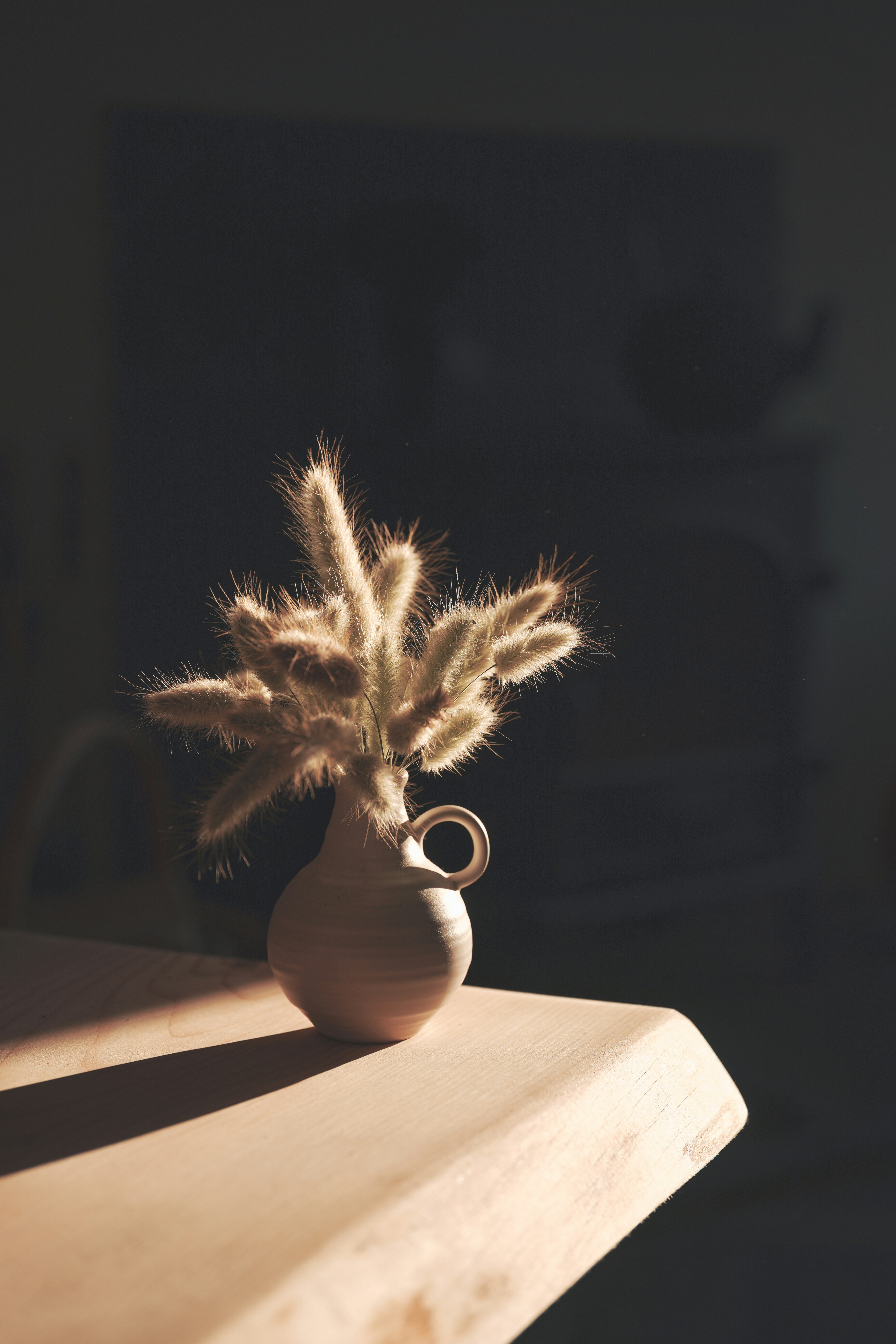 Sunlit Pampas in a Clay Vessel on a Quiet Table