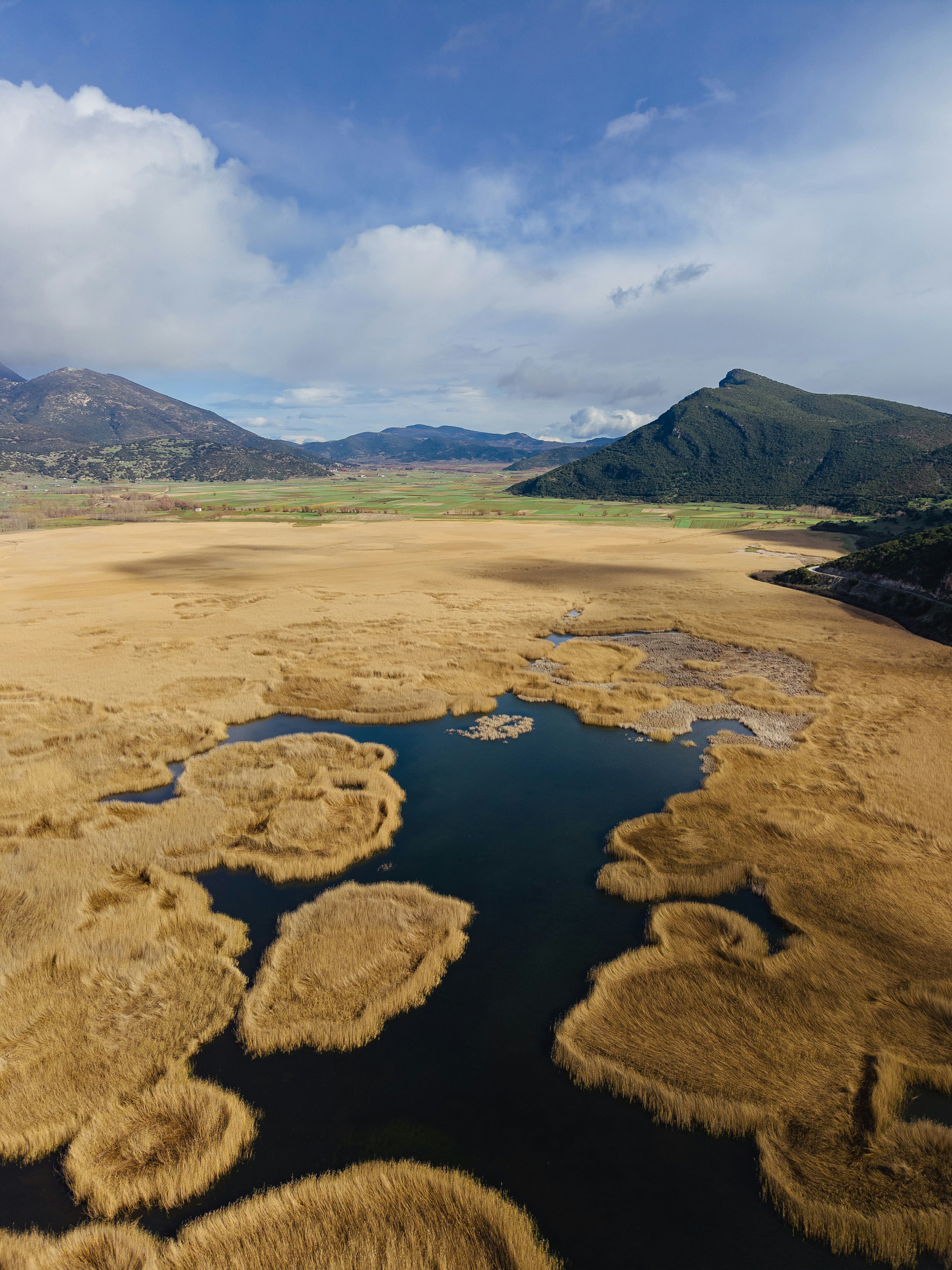 Golden marsh surrounds dark water with distant mountains