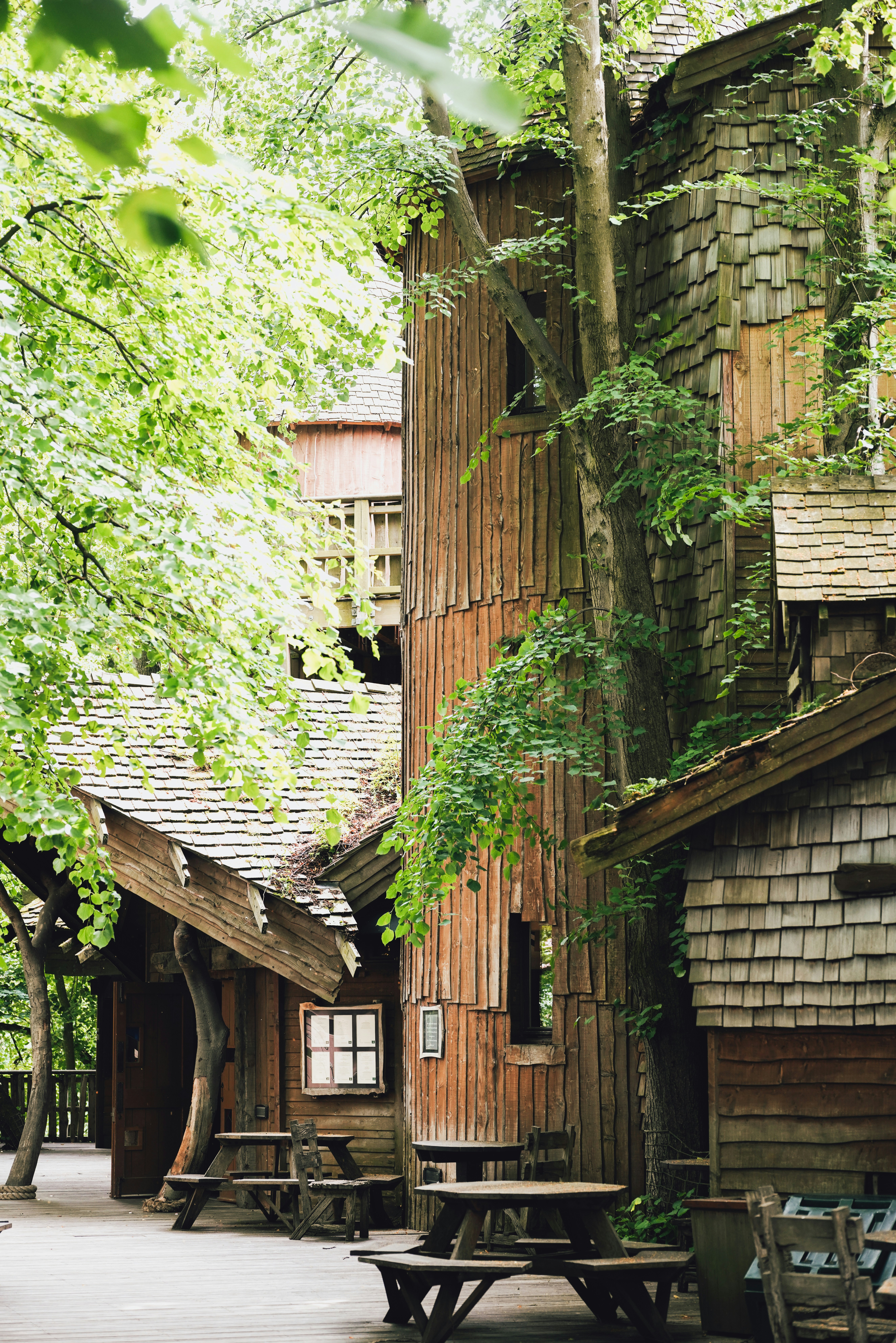 phoebe lynch (@siorraidh) | Unsplashフォトコミュニティ