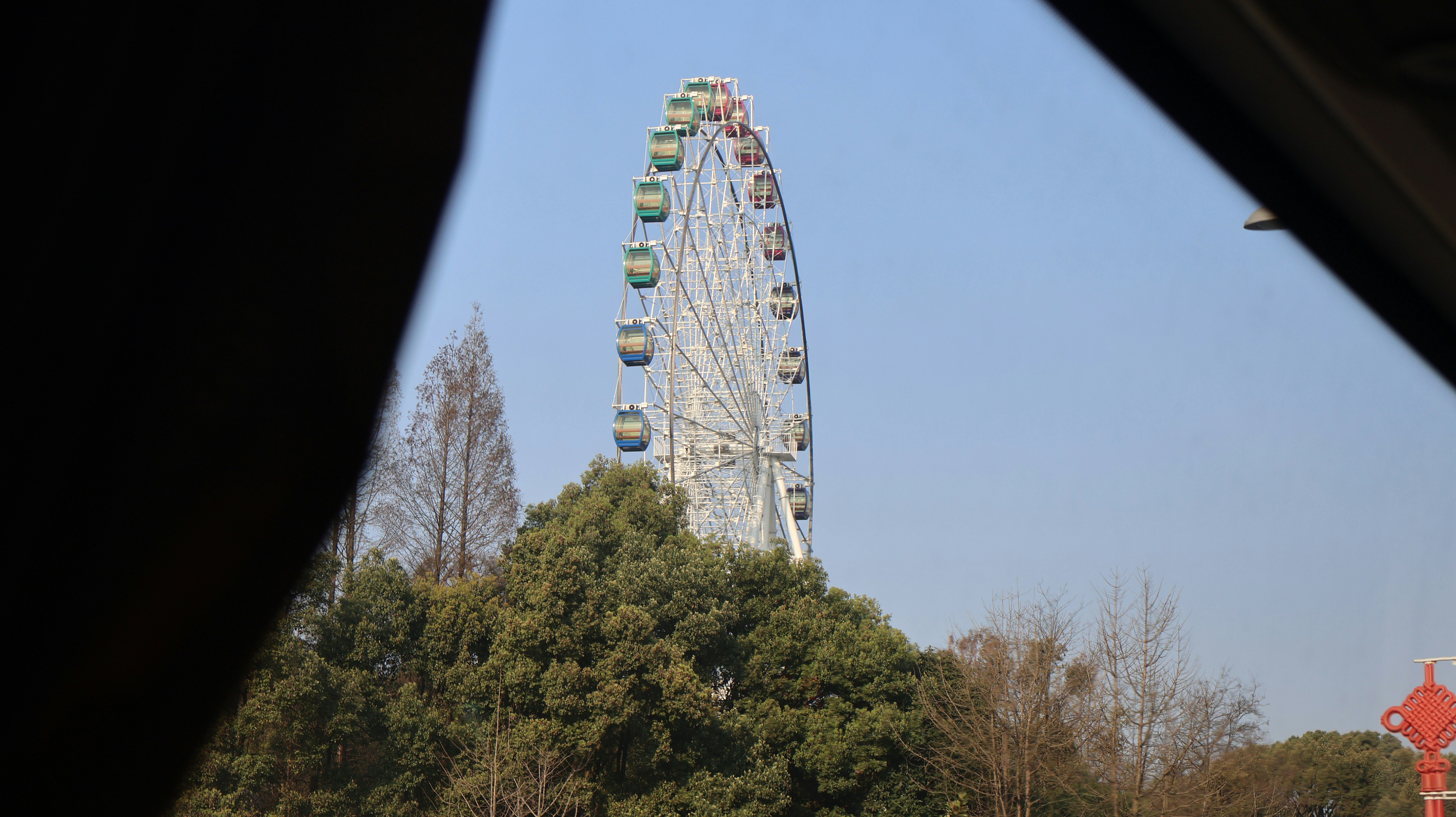 Ferris Wheel Emerges Over Treeline, Framed by Car Window