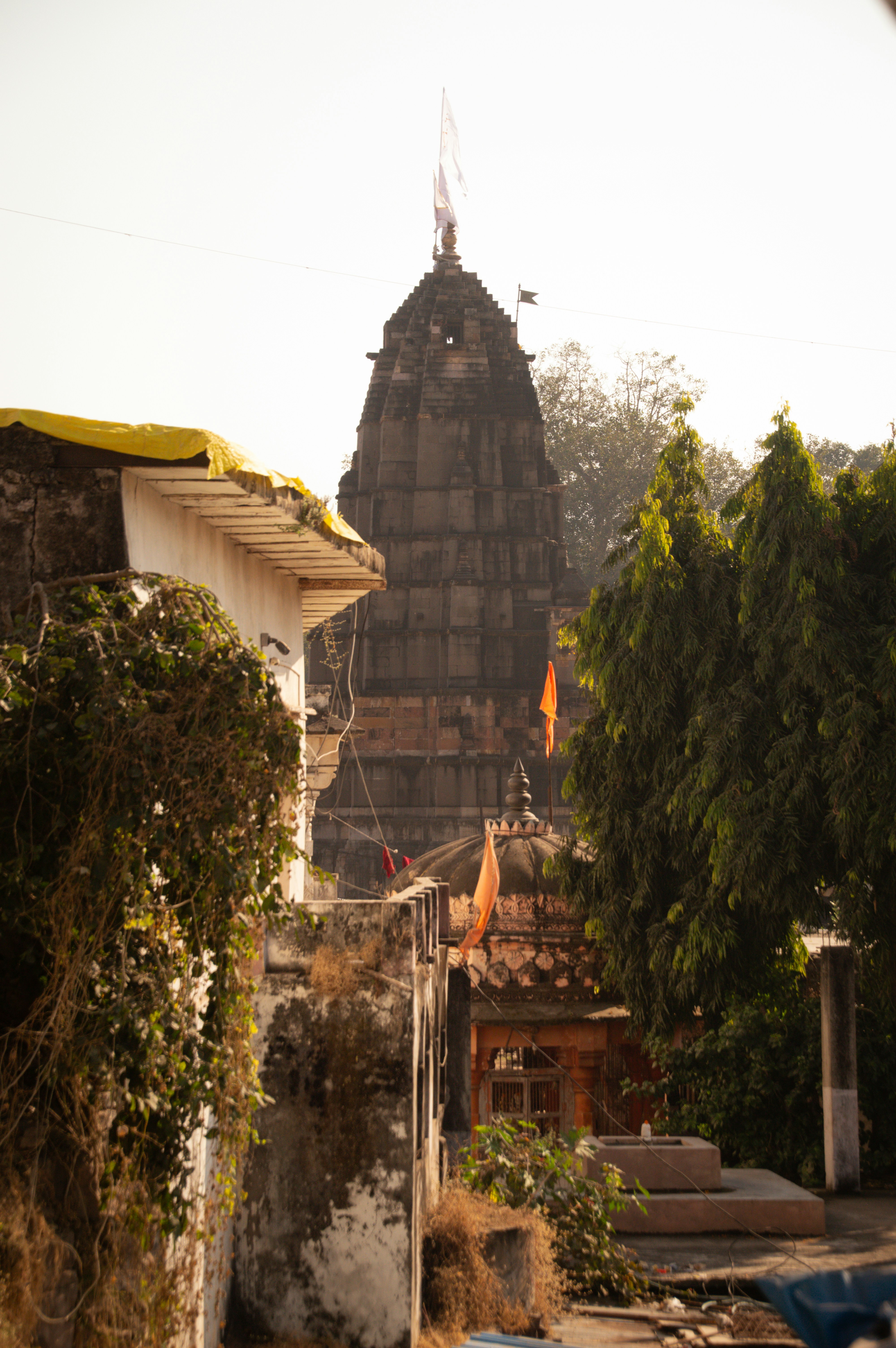 Temple Spire Rising Beyond Wall and Trees at Dusk