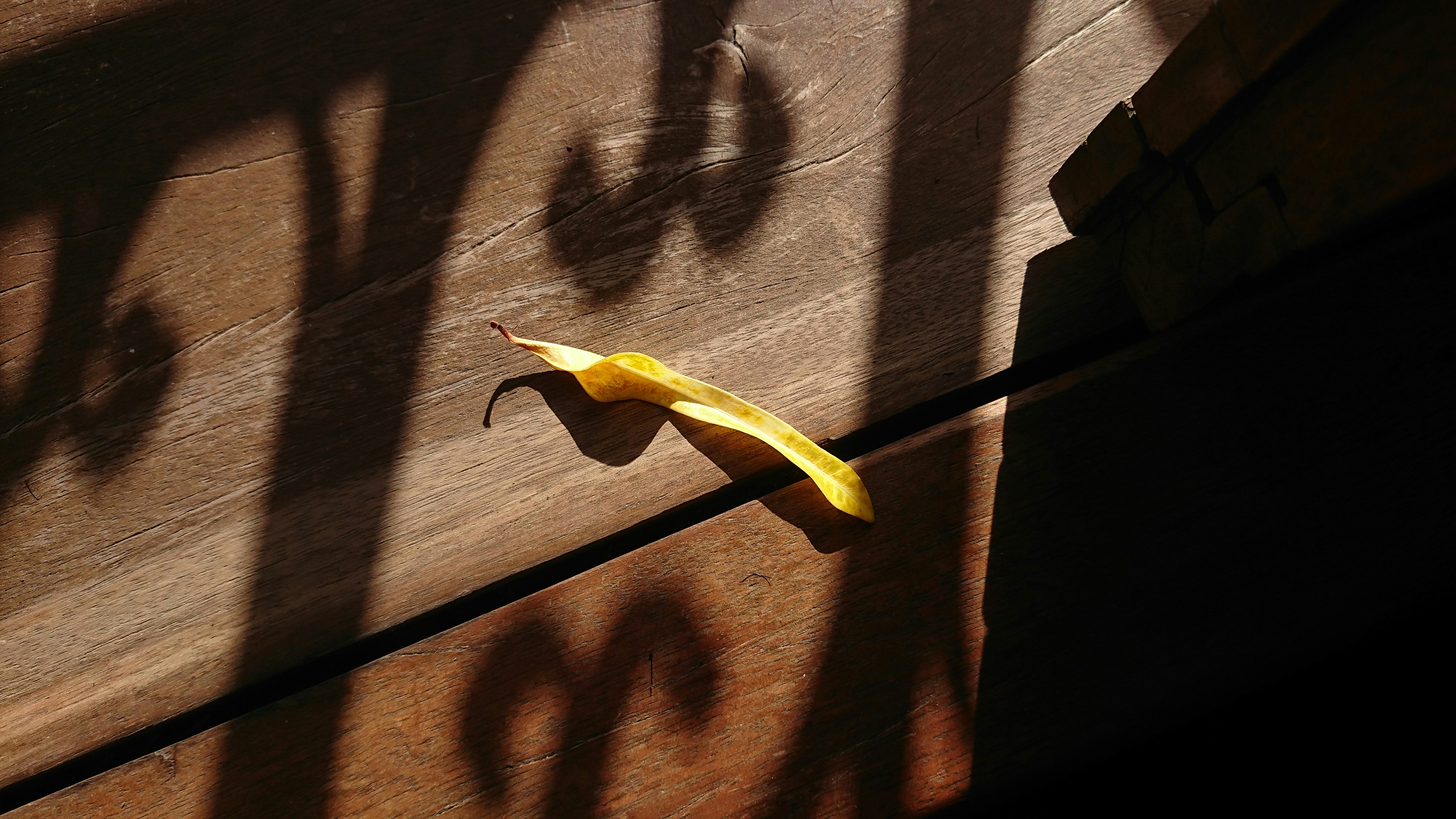 A single yellow leaf casts a shadow on wood.