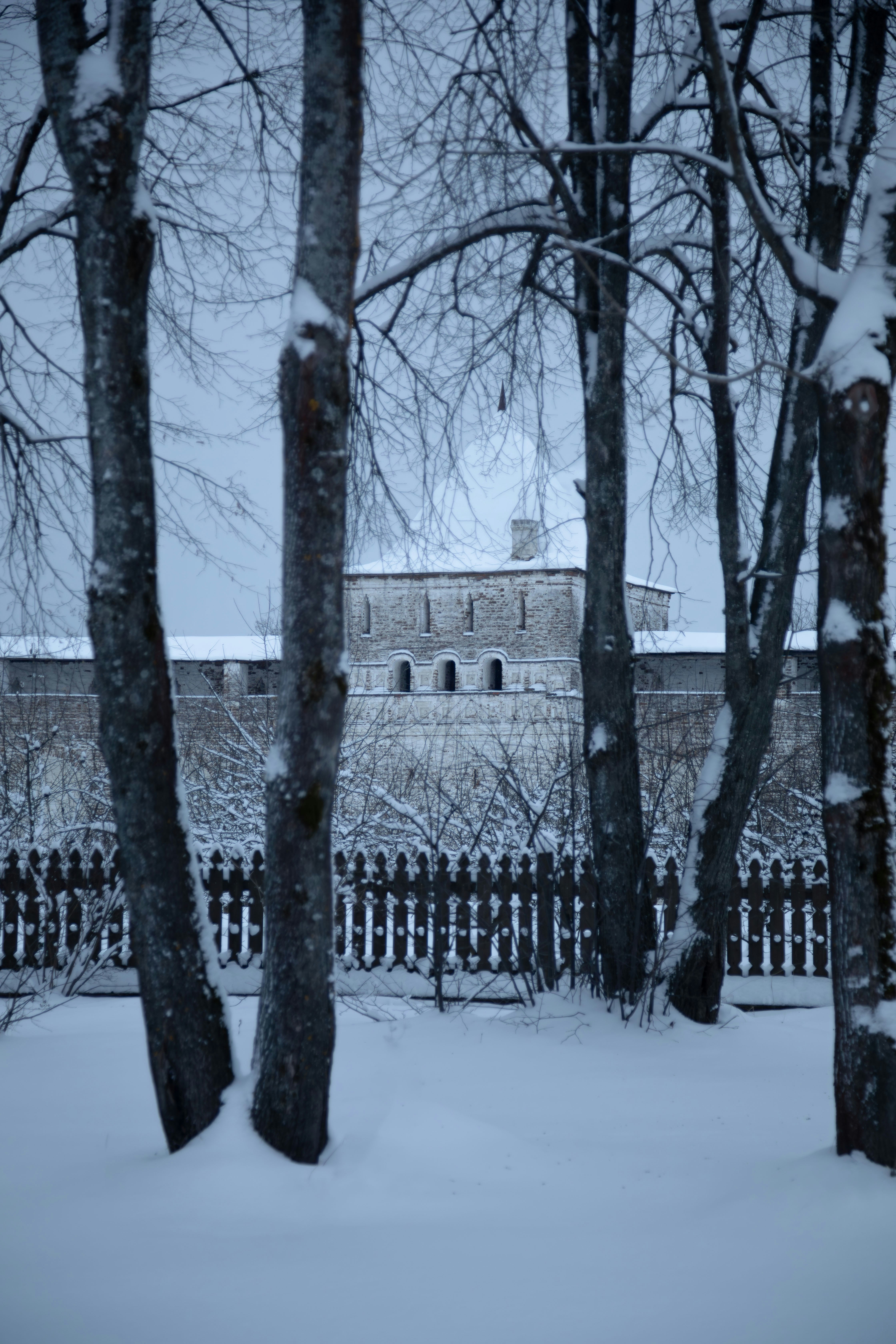 Snowbound Monolith: A Fortress Pierced by Winter Trees