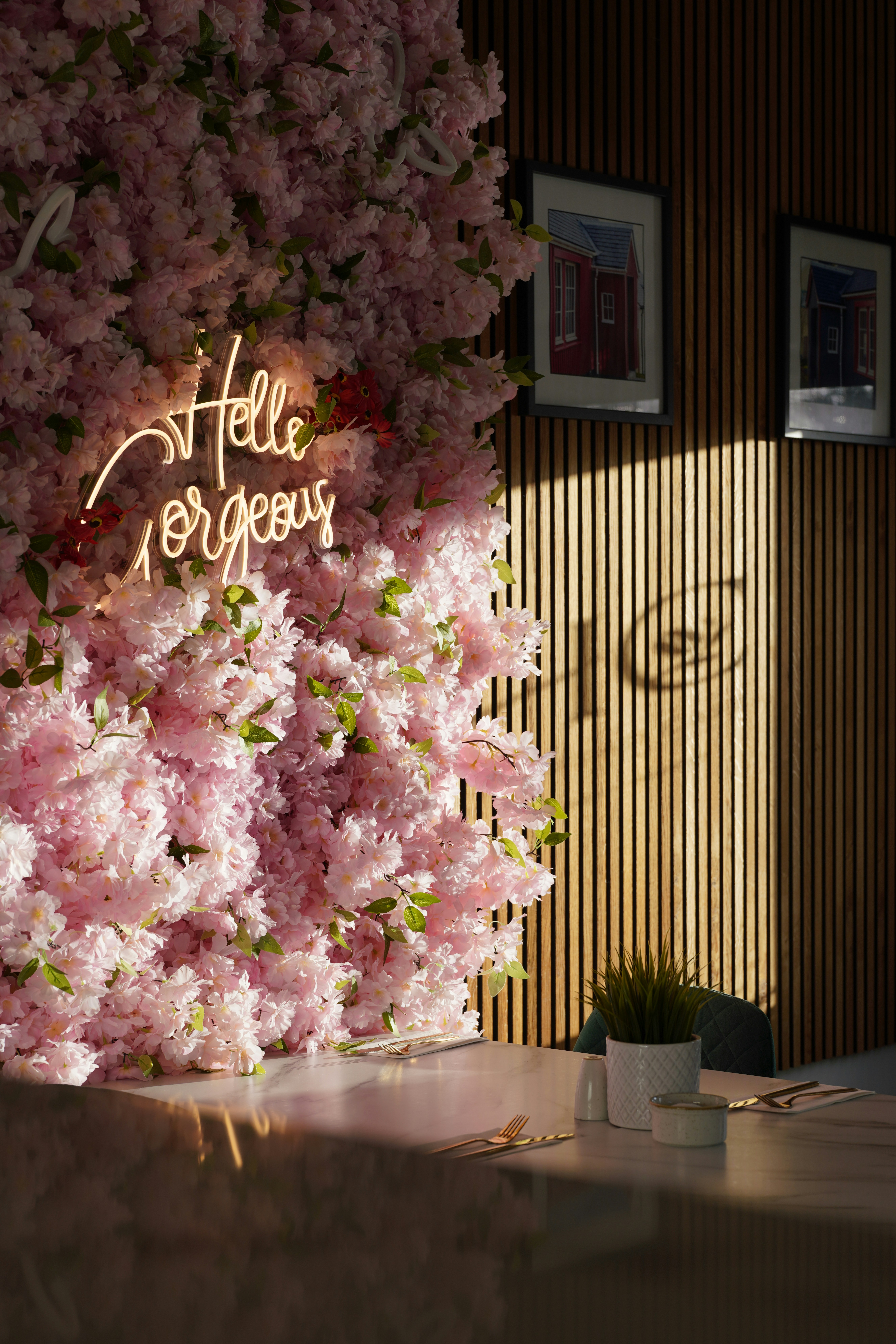 phoebe lynch (@siorraidh) | Comunidad de fotos de Unsplash