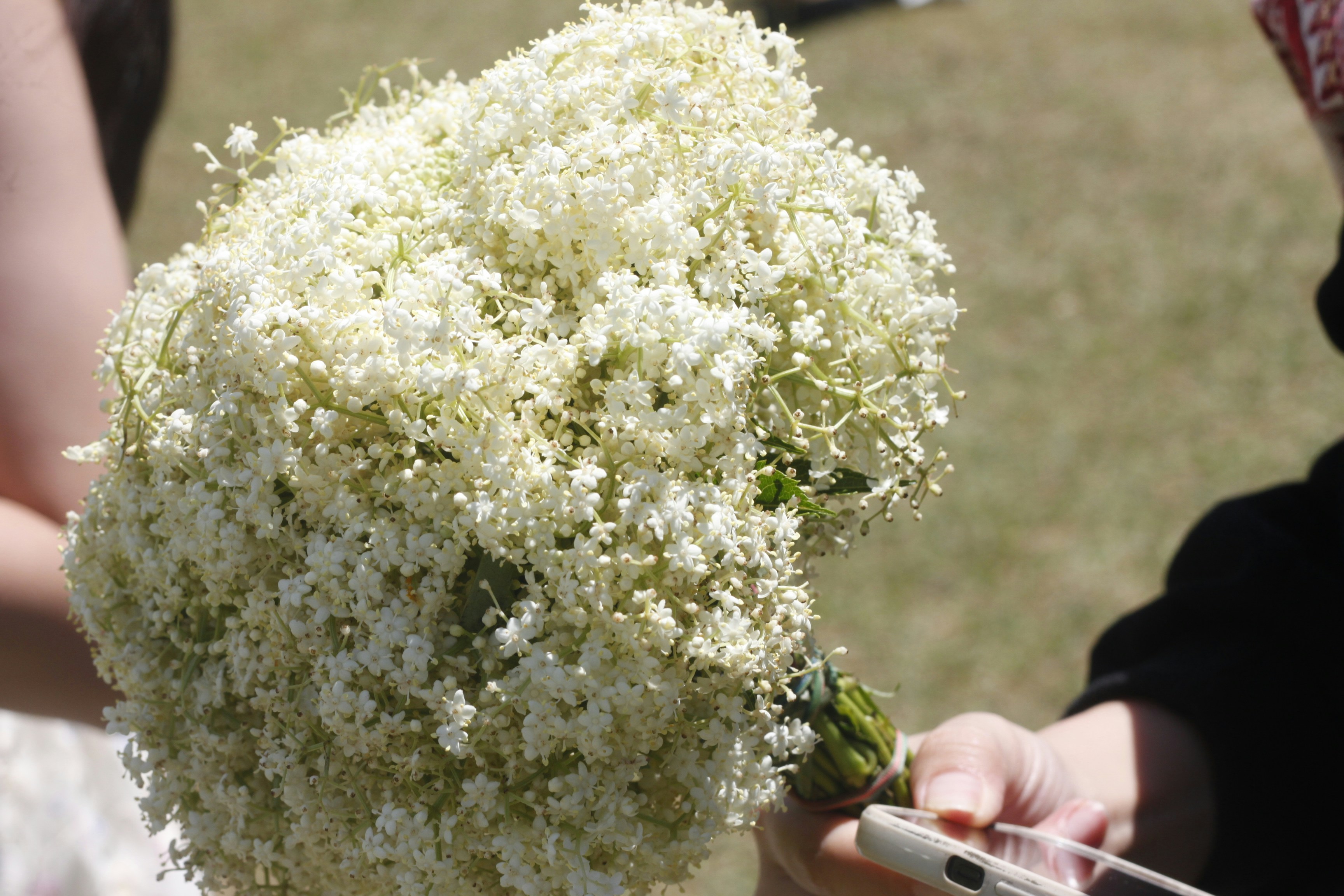 Ivory Bouquet Grasp: Close-up of a Wedding Corsage