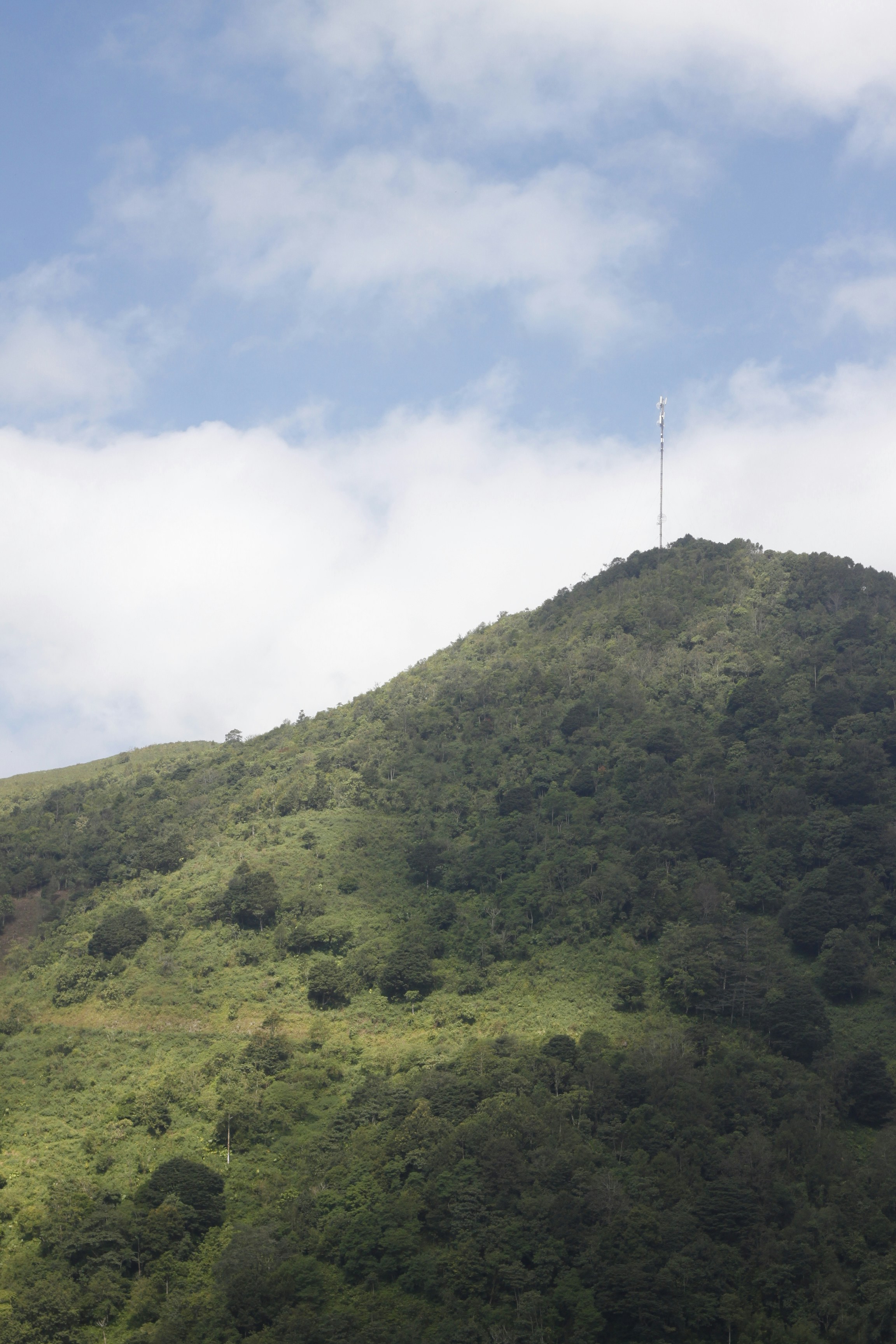 Telephone tower crowns the hill: a quiet summit scene